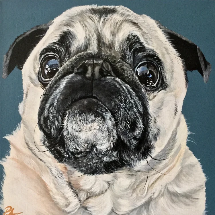 Gallery — Nose Prints