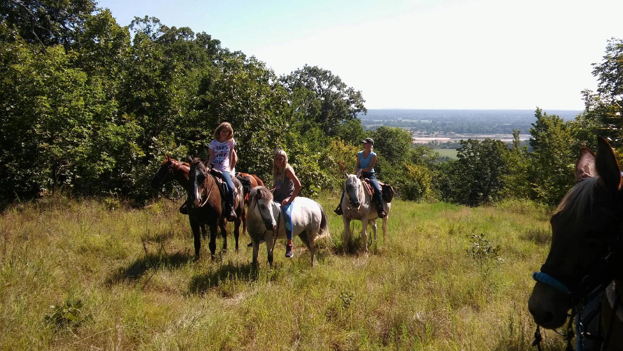 Agritourism at Dream Point Ranch — Dream Point Ranch