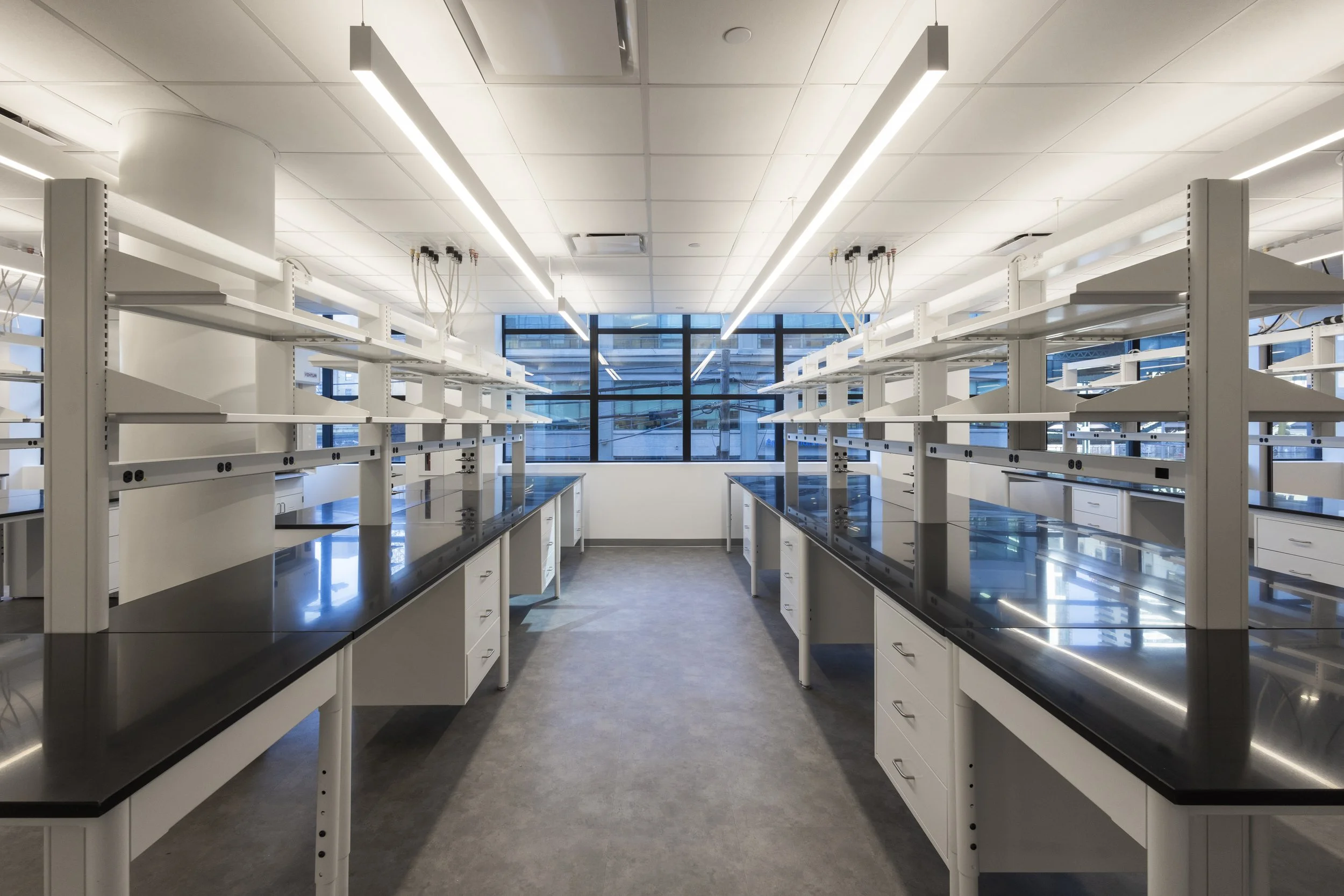 Case Study - Hatch Life Sciences — Skyline Windows