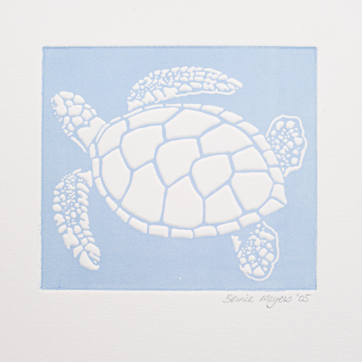 Turtle Pictures To Print