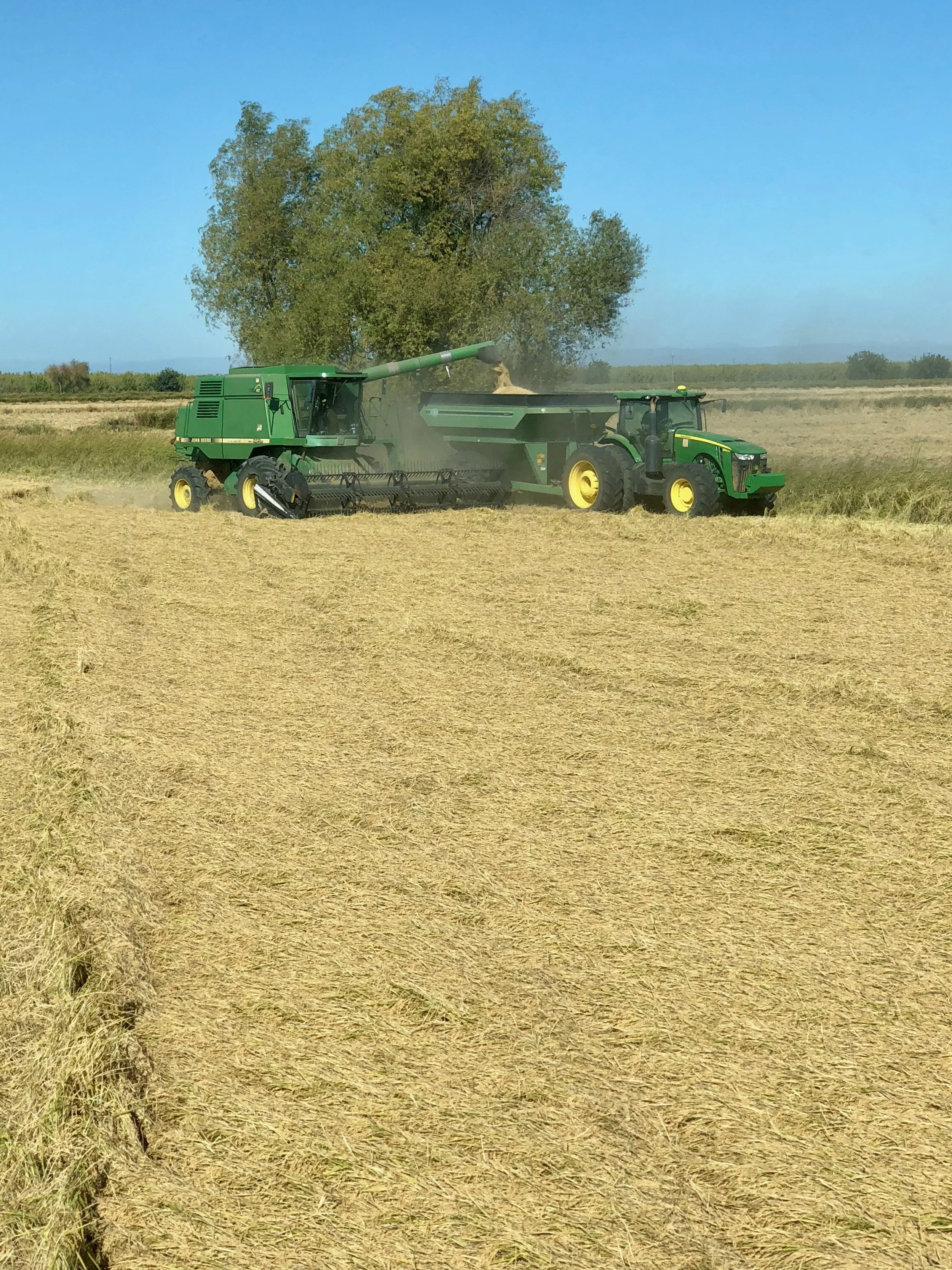 Custom Farming Magenheimer Family Foods Custom Farming Magenheimer Family Foods