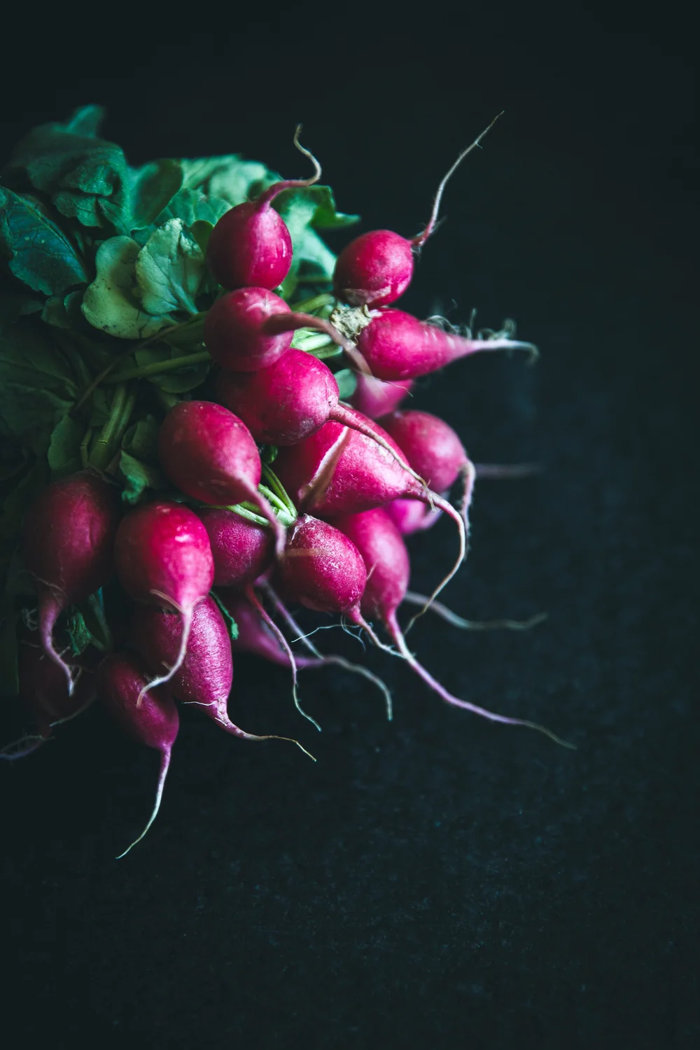 The best cooking methods to power a food-gene connection — The Genomic ...