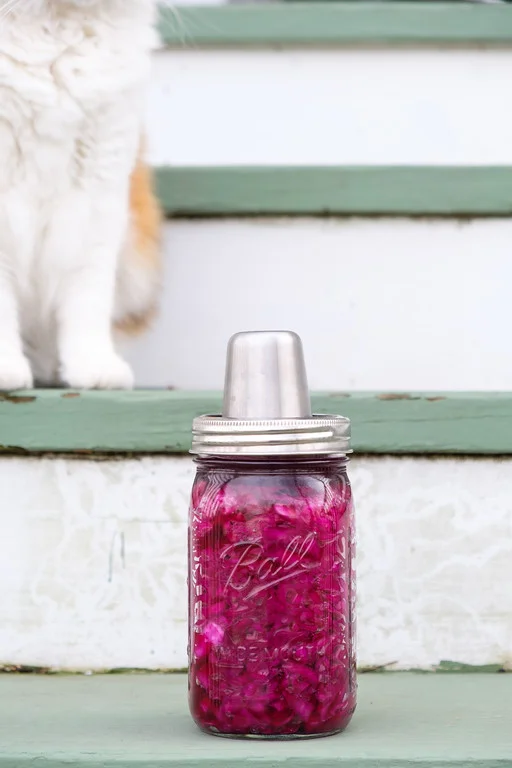 8 Fermented Foods Recipes to Improve Gut Health Naturally — The Genomic ...