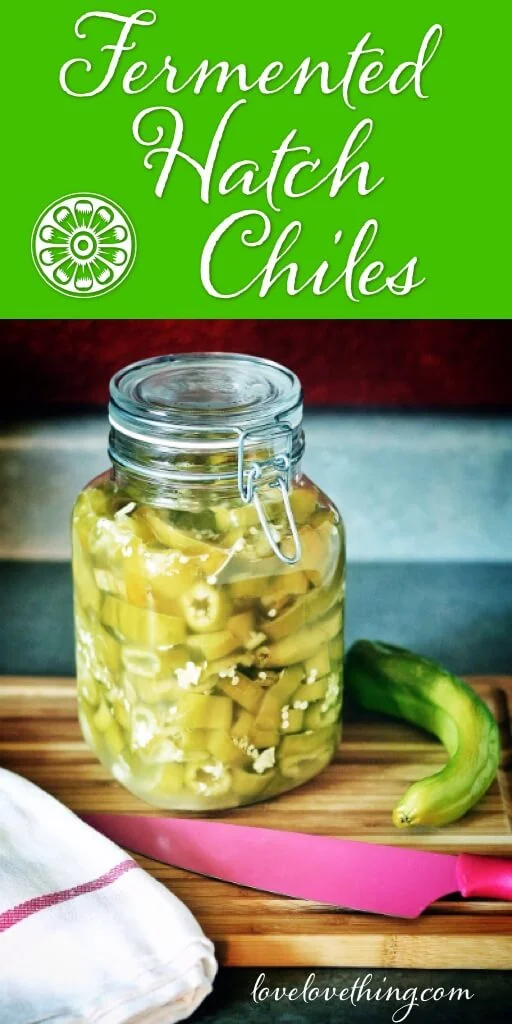 8 Fermented Foods Recipes to Improve Gut Health Naturally — The Genomic ...