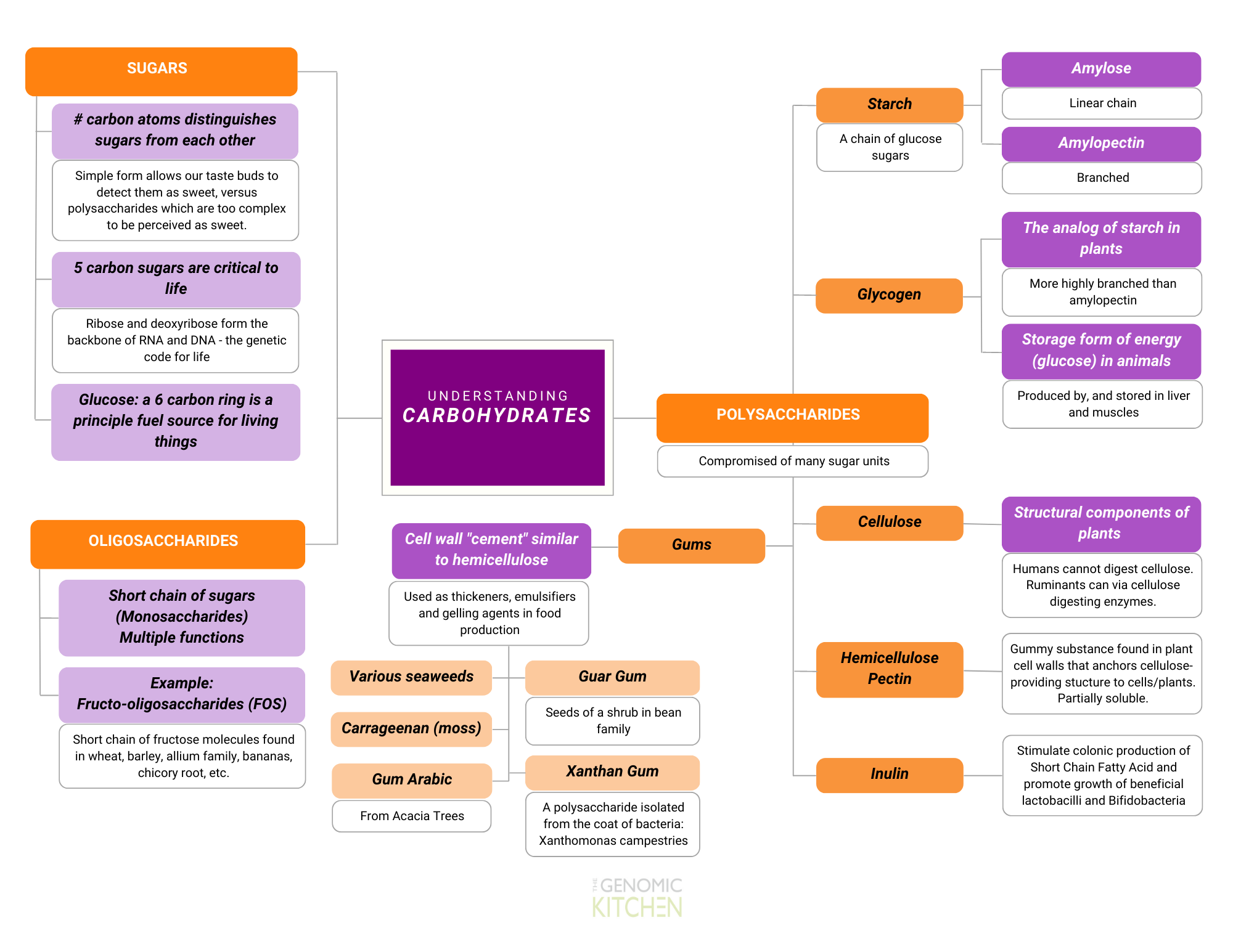 Nutrition Roadmaps — The Genomic Kitchen
