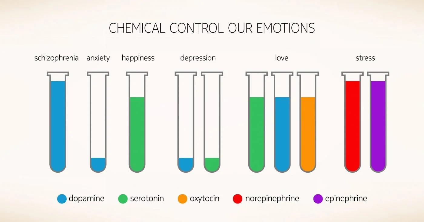 Genes and Mood: How Your Genes Can Affect Your Mood — The Genomic Kitchen