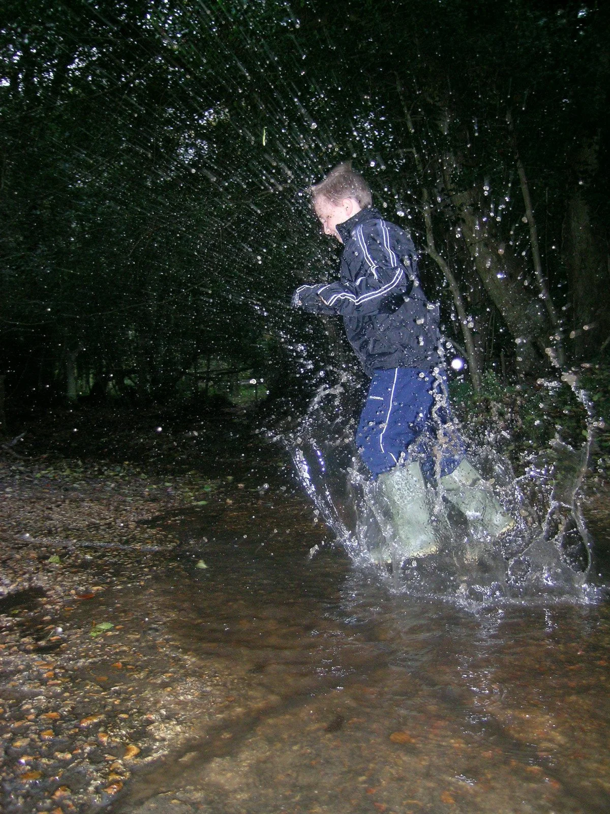 Friends of Minstead Study Centre