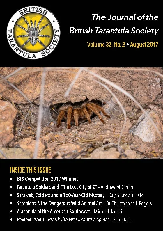 publications | books, articles and videos by Michael Jacobi — Michael ...