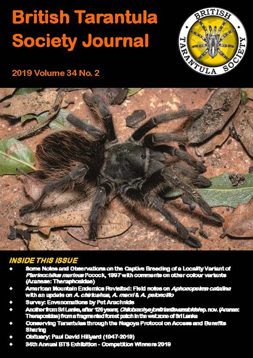 publications | books, articles and videos by Michael Jacobi — Michael ...