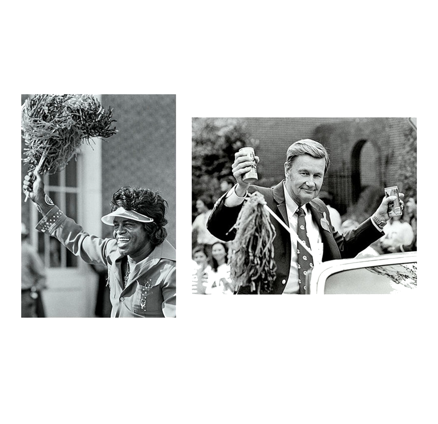 James Brown Terry Brown