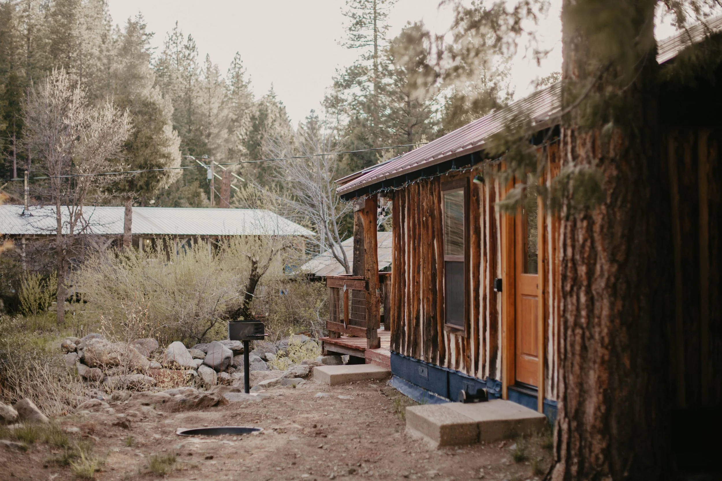 Camp Dennen — Brett Dennen