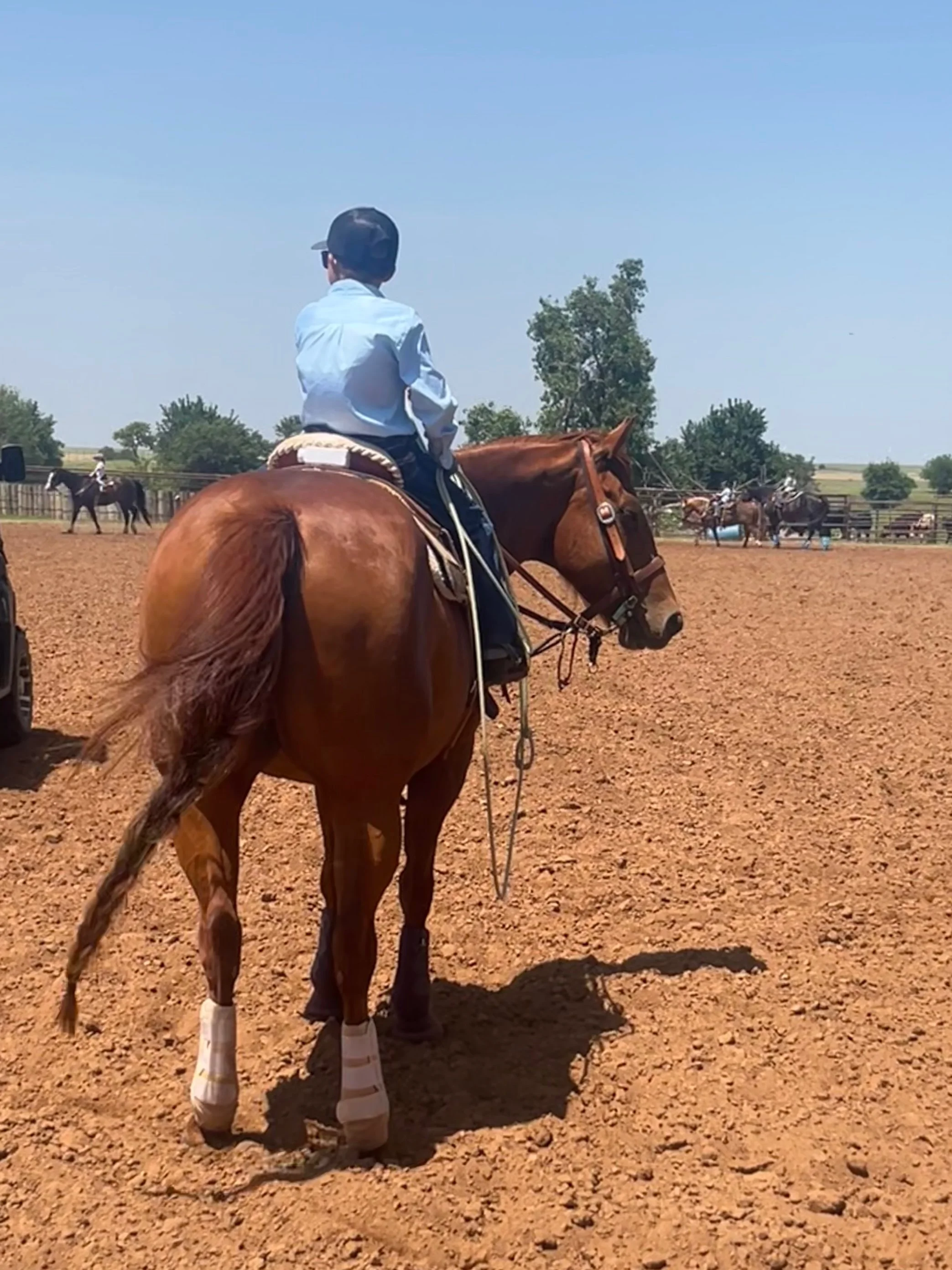 Dusky Lynn Hall - The Youngest Million-Dollar Barrel Racer — The Bell ...