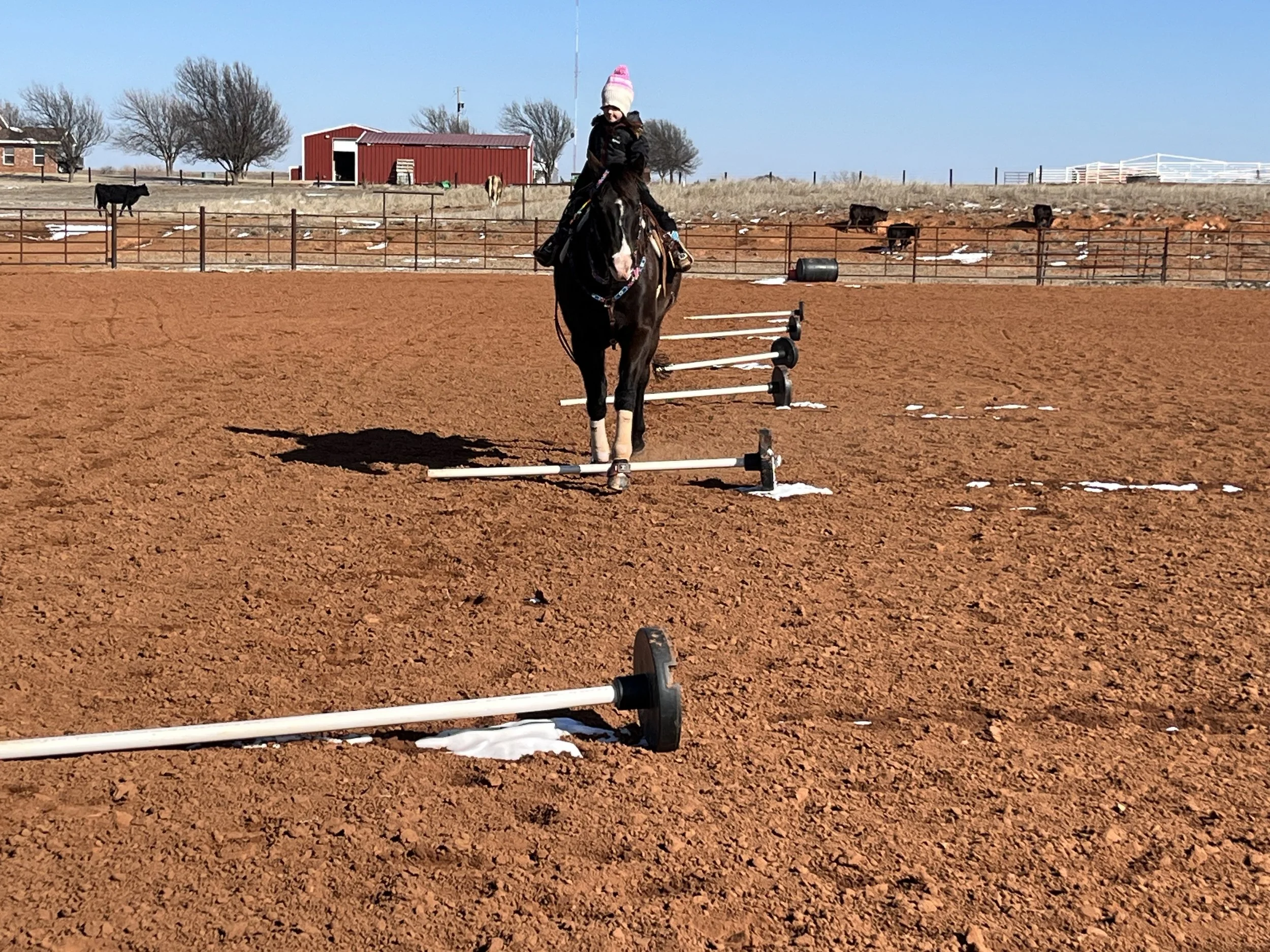 Dusky Lynn Hall - The Youngest Million-Dollar Barrel Racer — The Bell ...