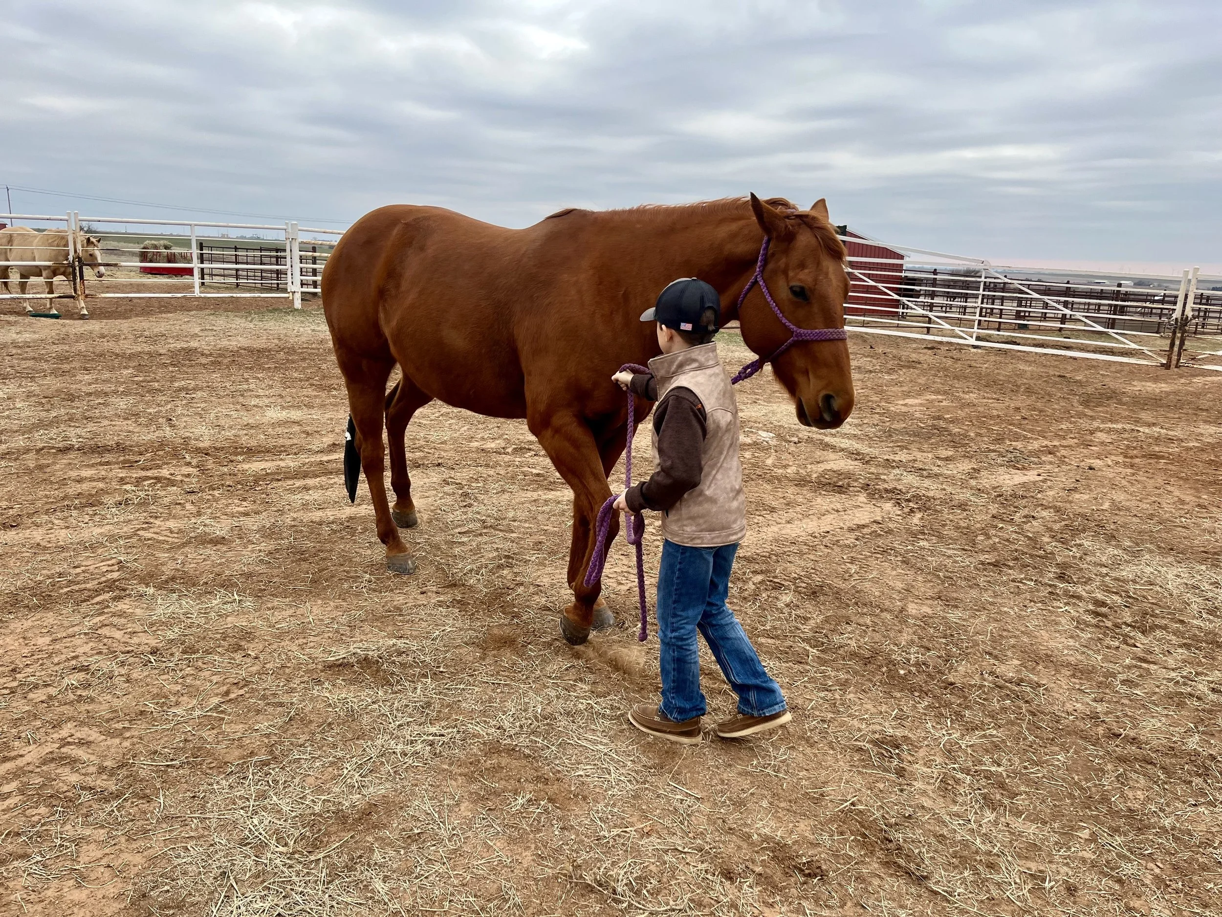 Dusky Lynn Hall - The Youngest Million-Dollar Barrel Racer — The Bell ...