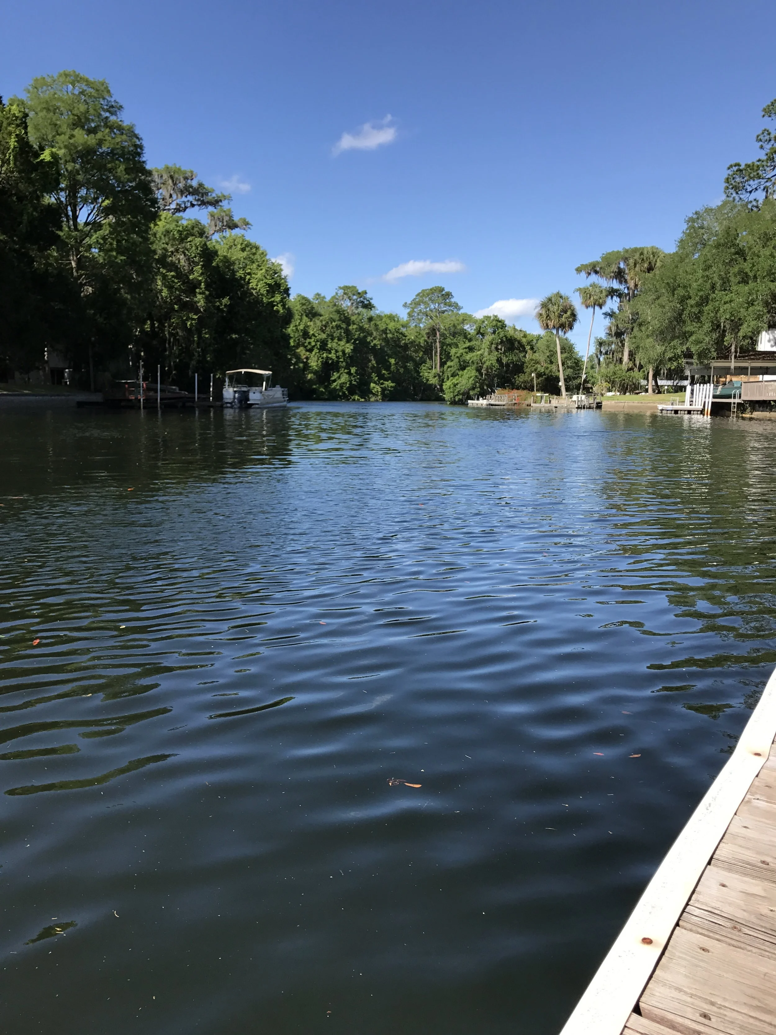 Eleanor Oaks - RV Park in Yankeetown, Florida