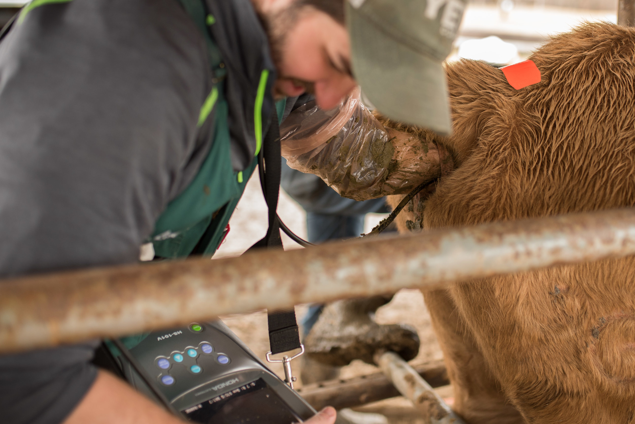 Home [geneticvisionsllc.com]