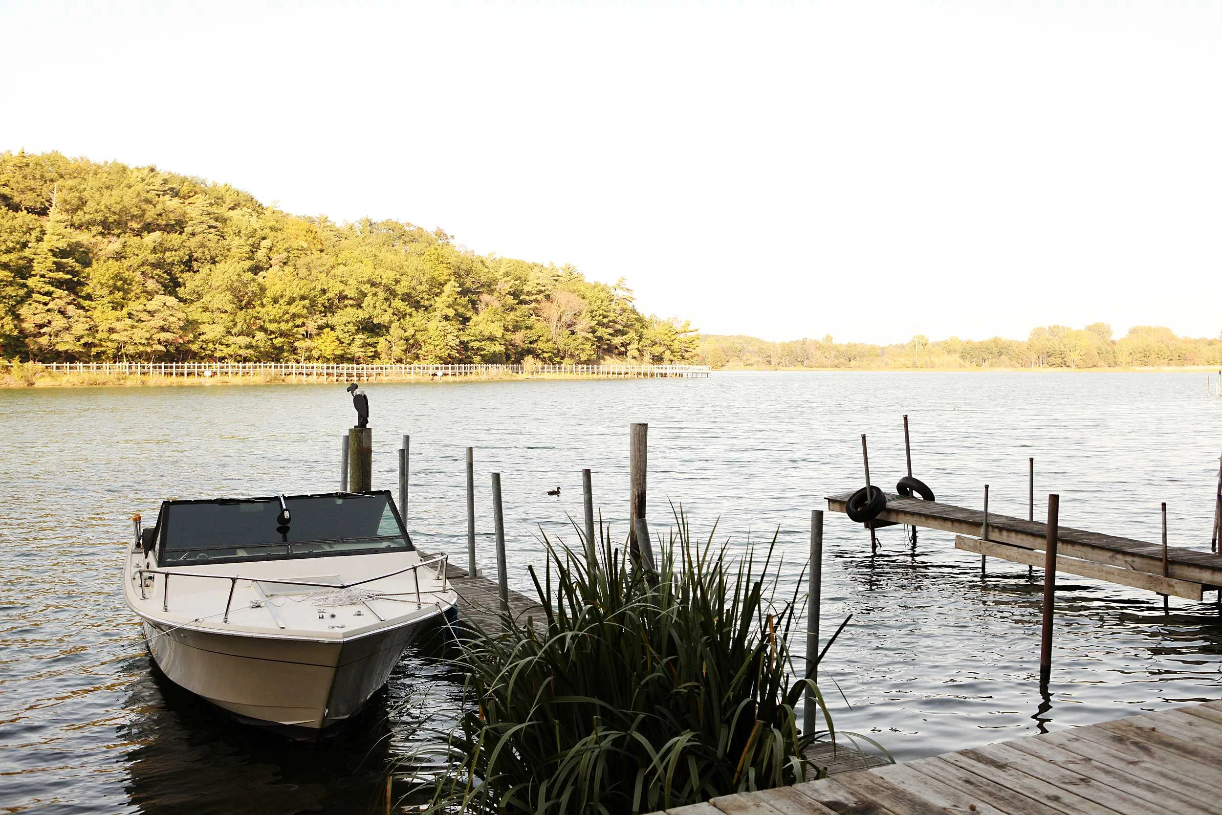 Buzzards Roost — Port Sheldon Cottages