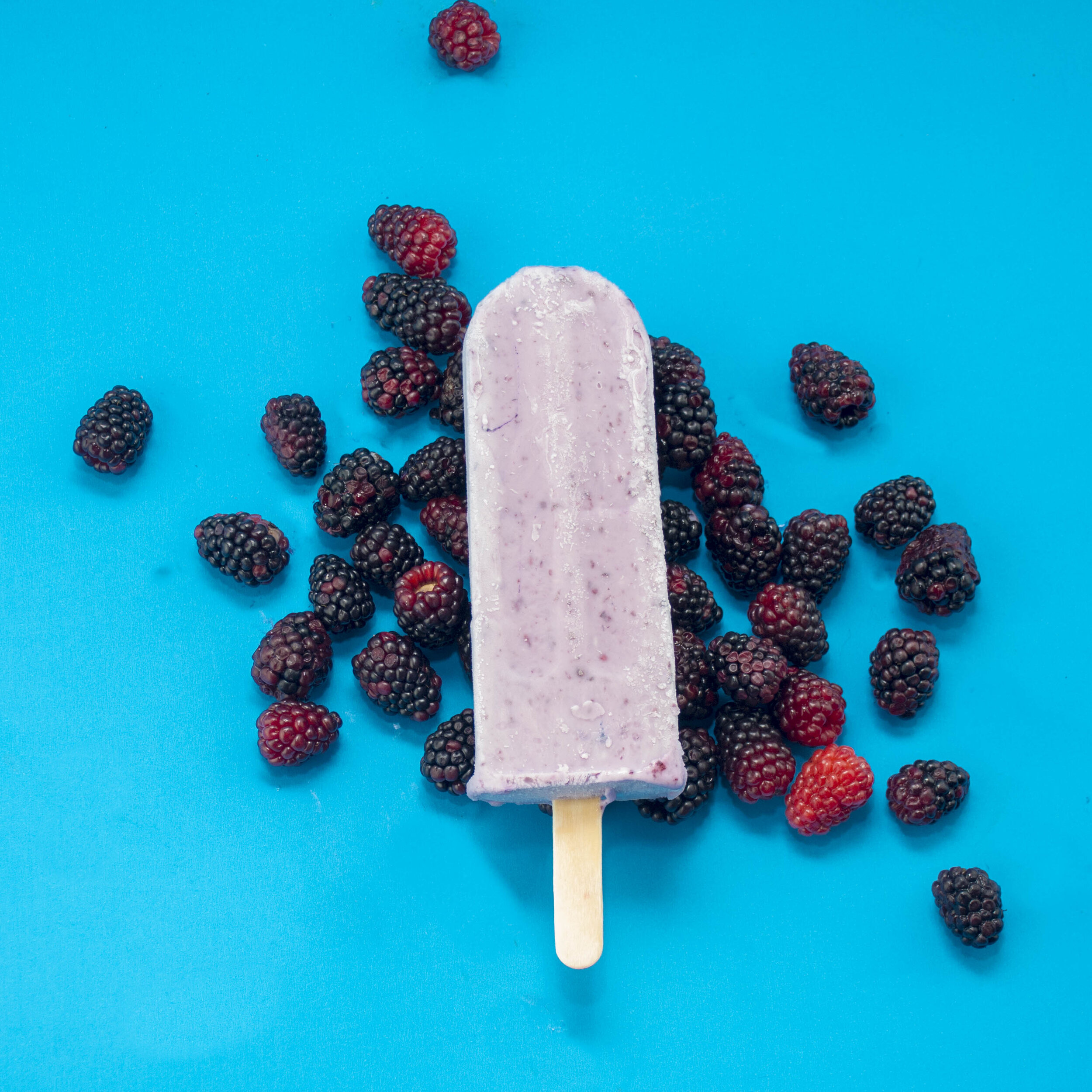 Productos — Heladería Oso Polar