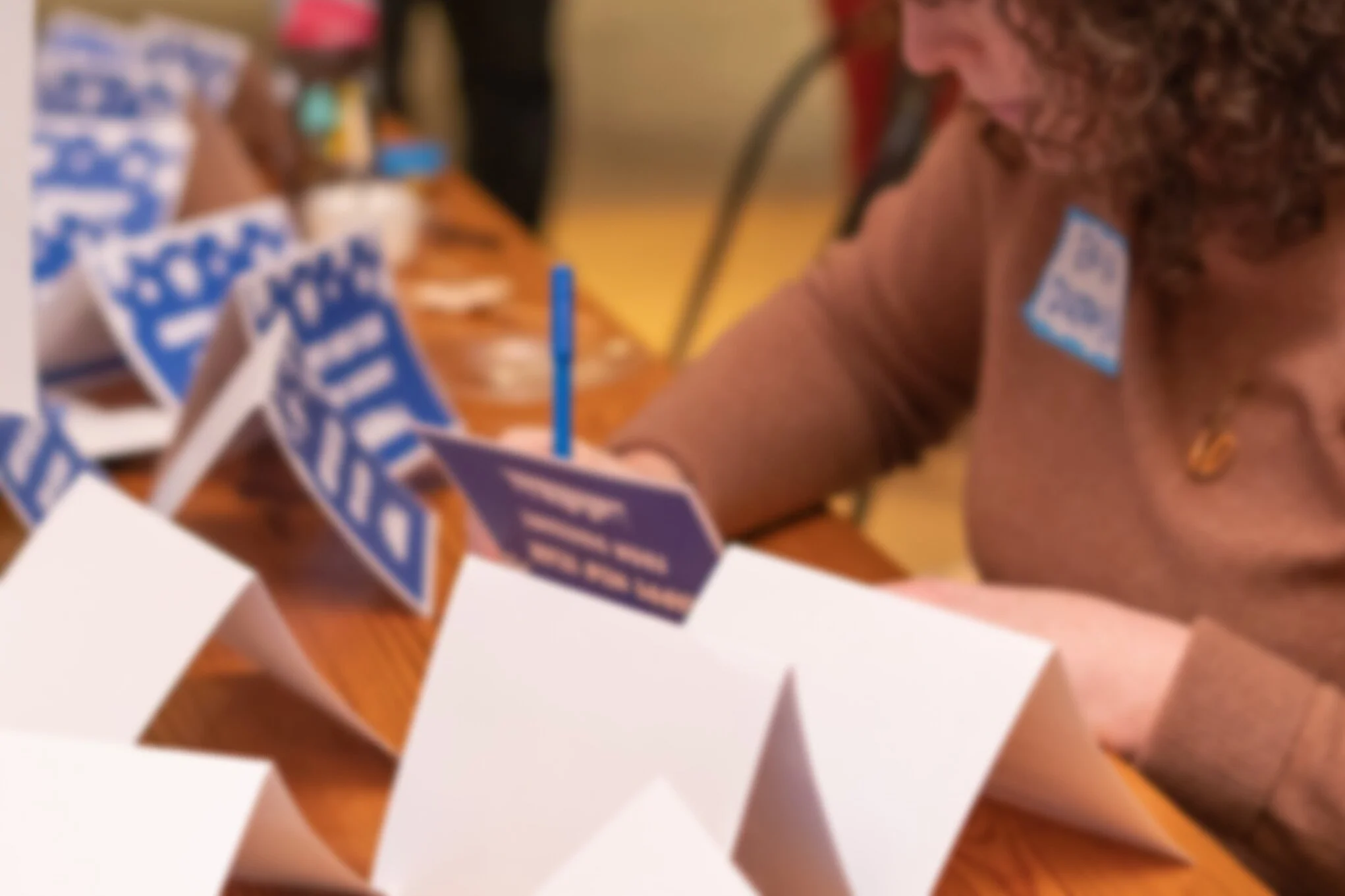 Vernetta Alston NC House 29