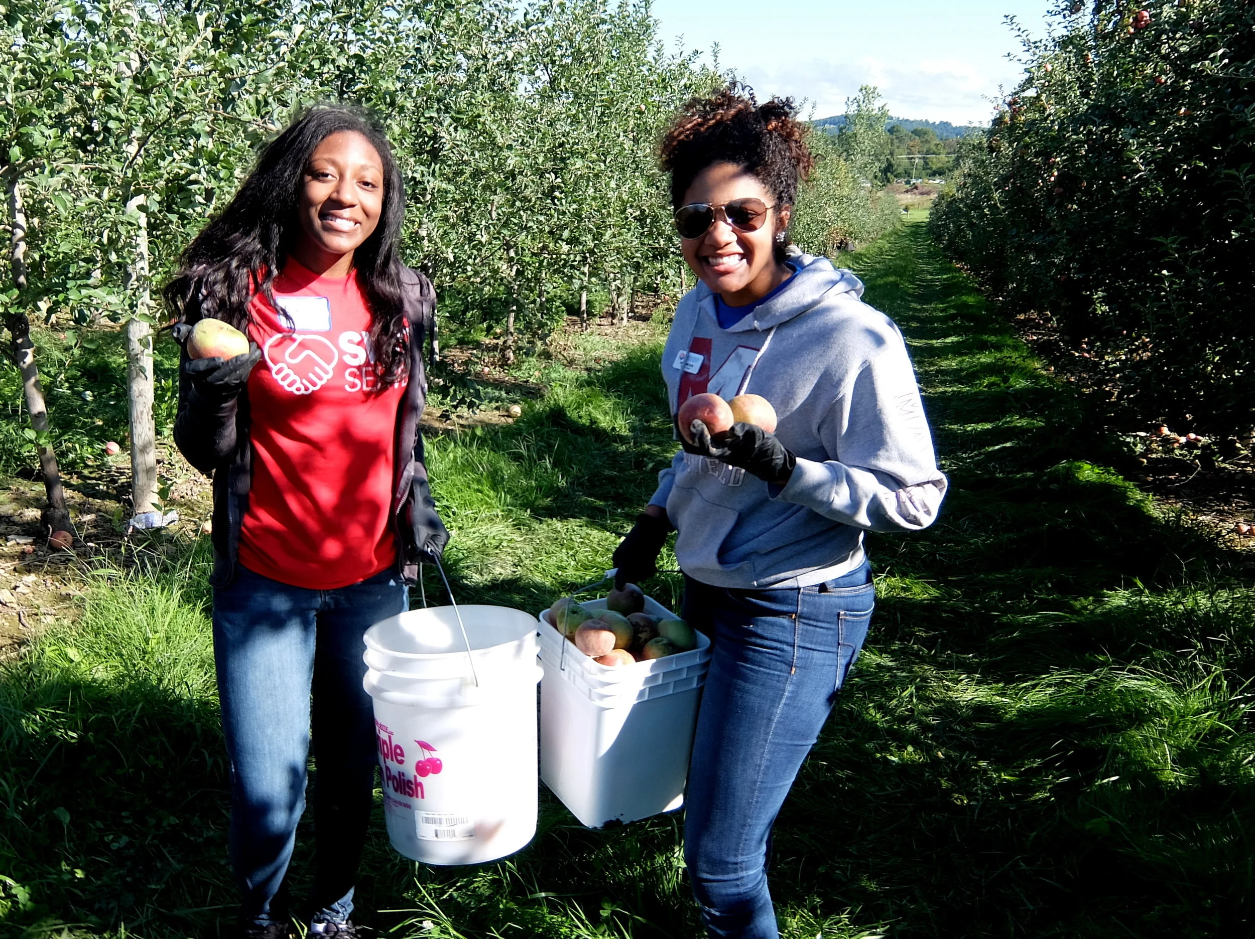 Glean-A-Mania 2017 is HERE. — The Gleaning Project