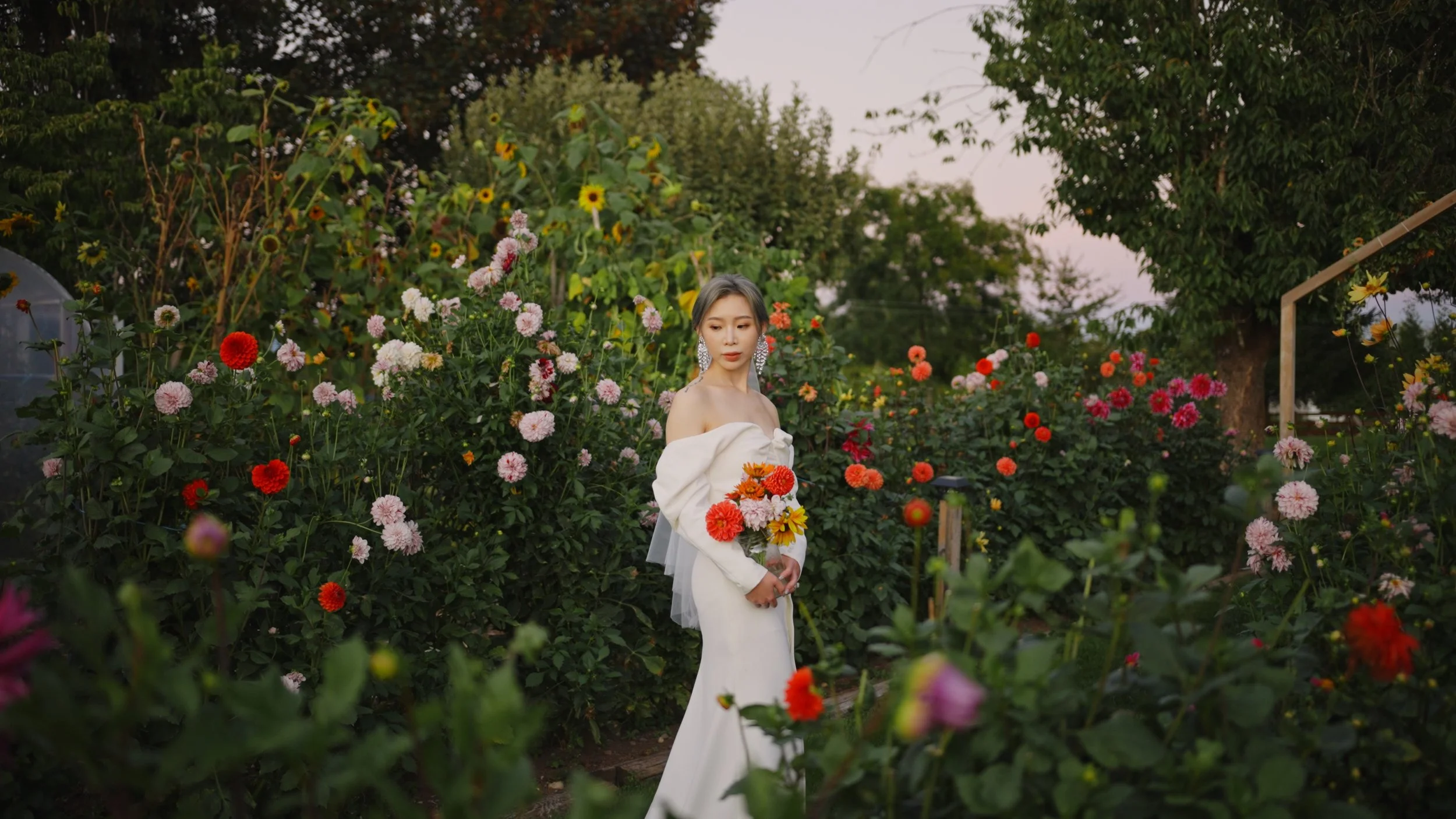 Wedding LUTS for Wedding Filmmakers and Videographers | The Augusts