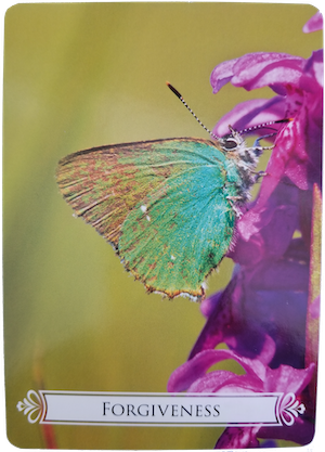 Oracle Cards Butterfly