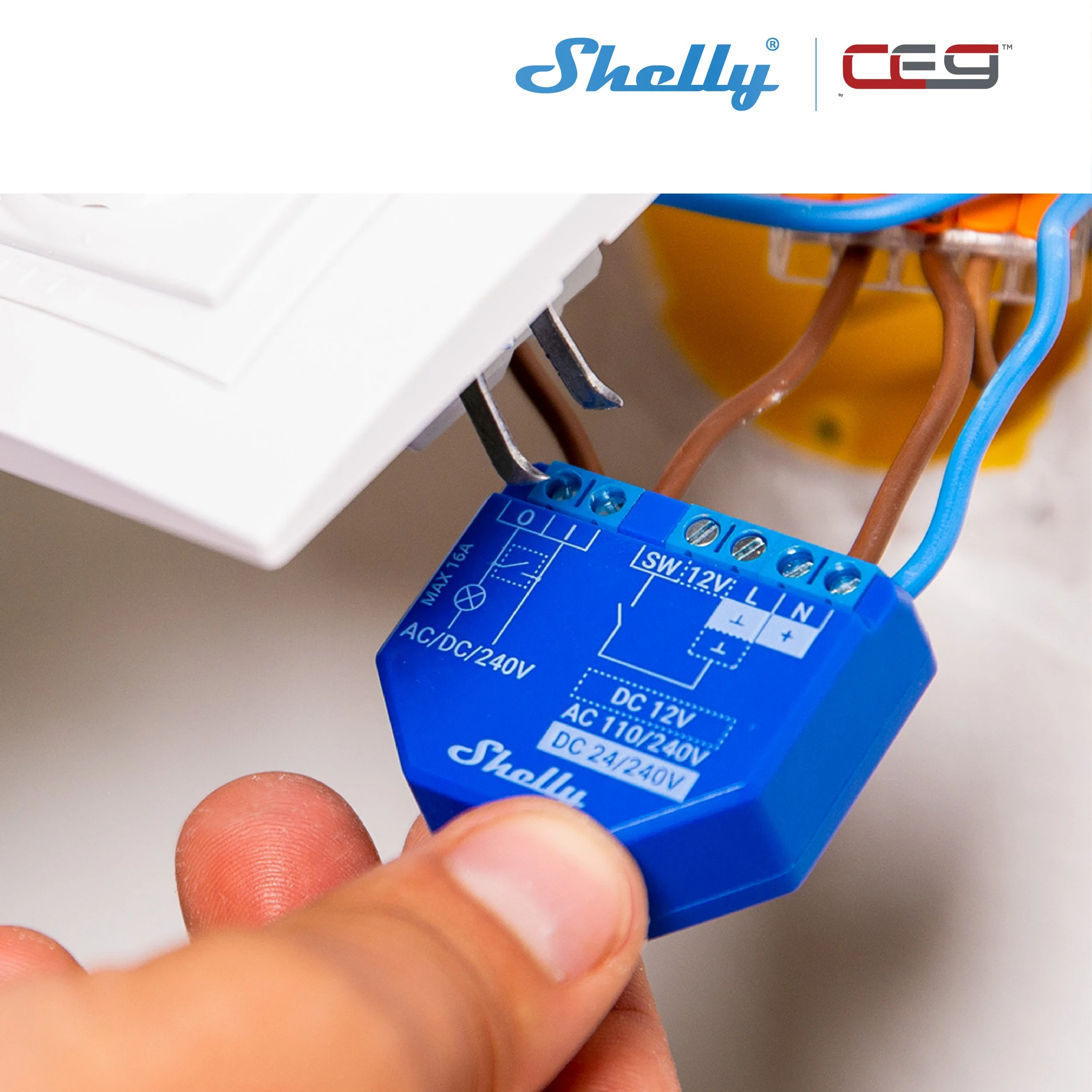 CEG company | Cutting Edge Group Co,.Ltd.