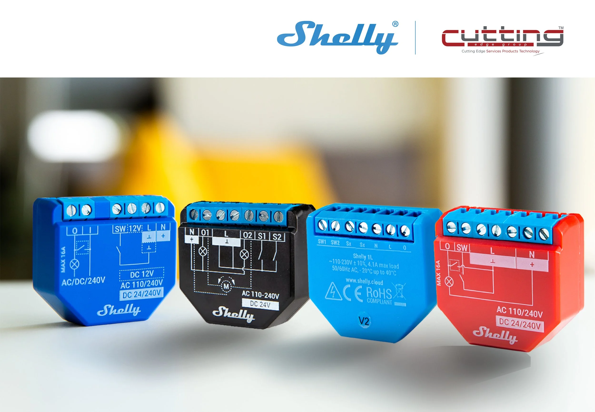 Shelly PLUS | Cutting Edge Group Co,.Ltd.