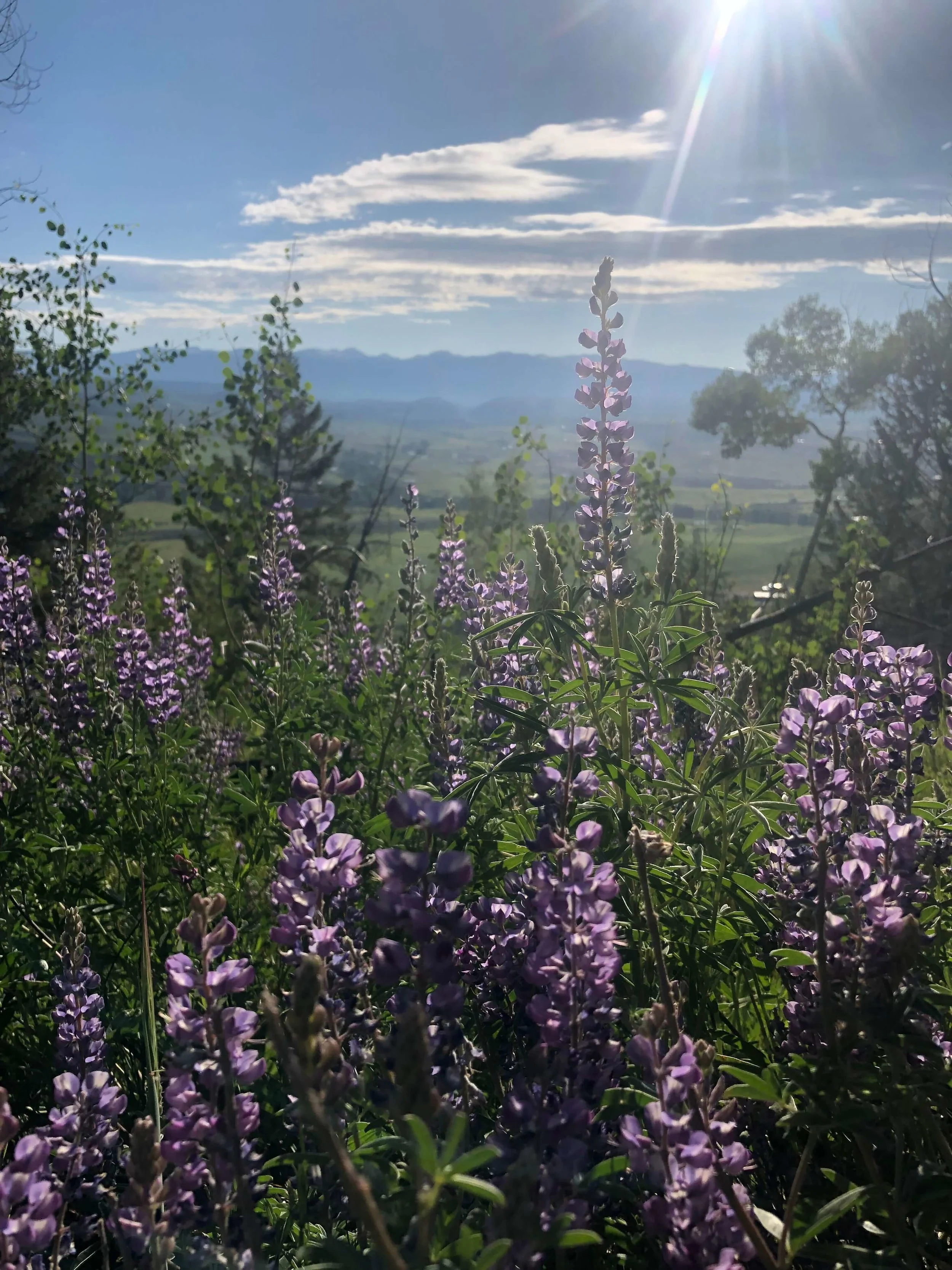 Guest Book — Antler Basin Ranch