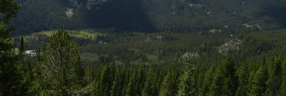 Activities — Antler Basin Ranch