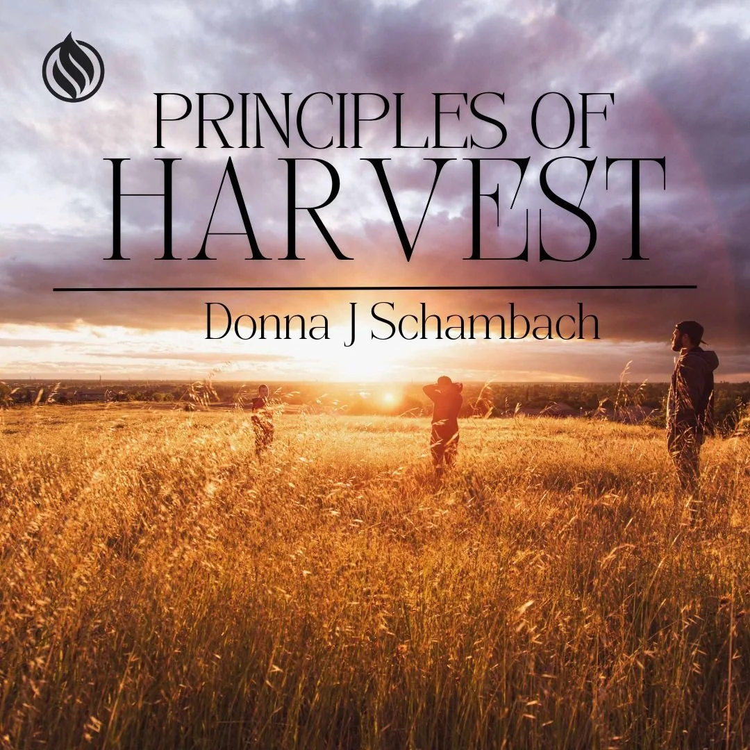 Store — Schambach Ministries