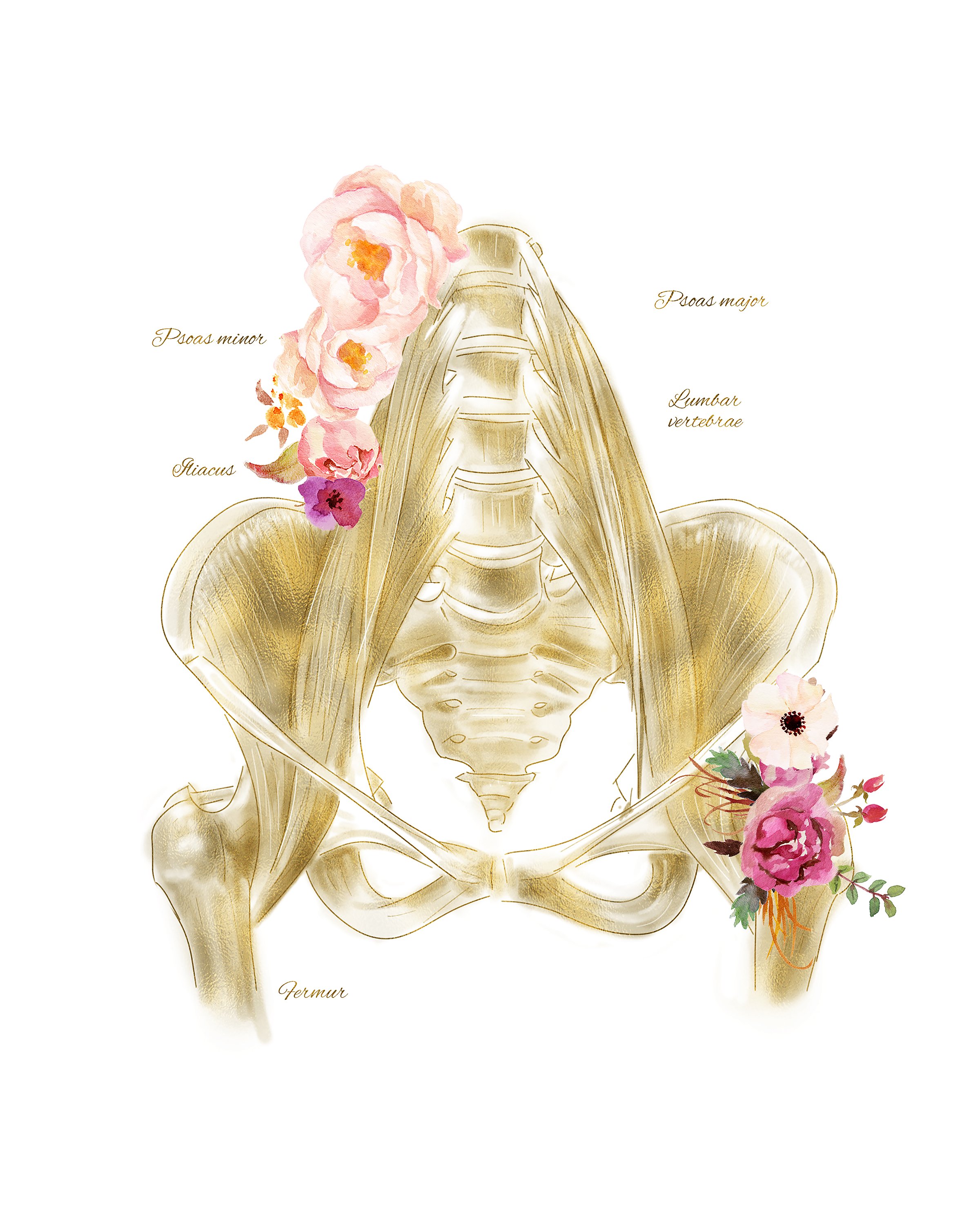 Pelvic Floor Acupuncture & Dry Needling | Box Acupuncture | San Jose, CA