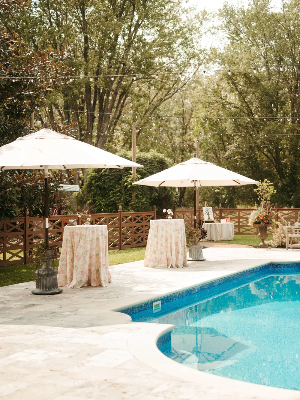 Cypress — Cypress Design Portfolio