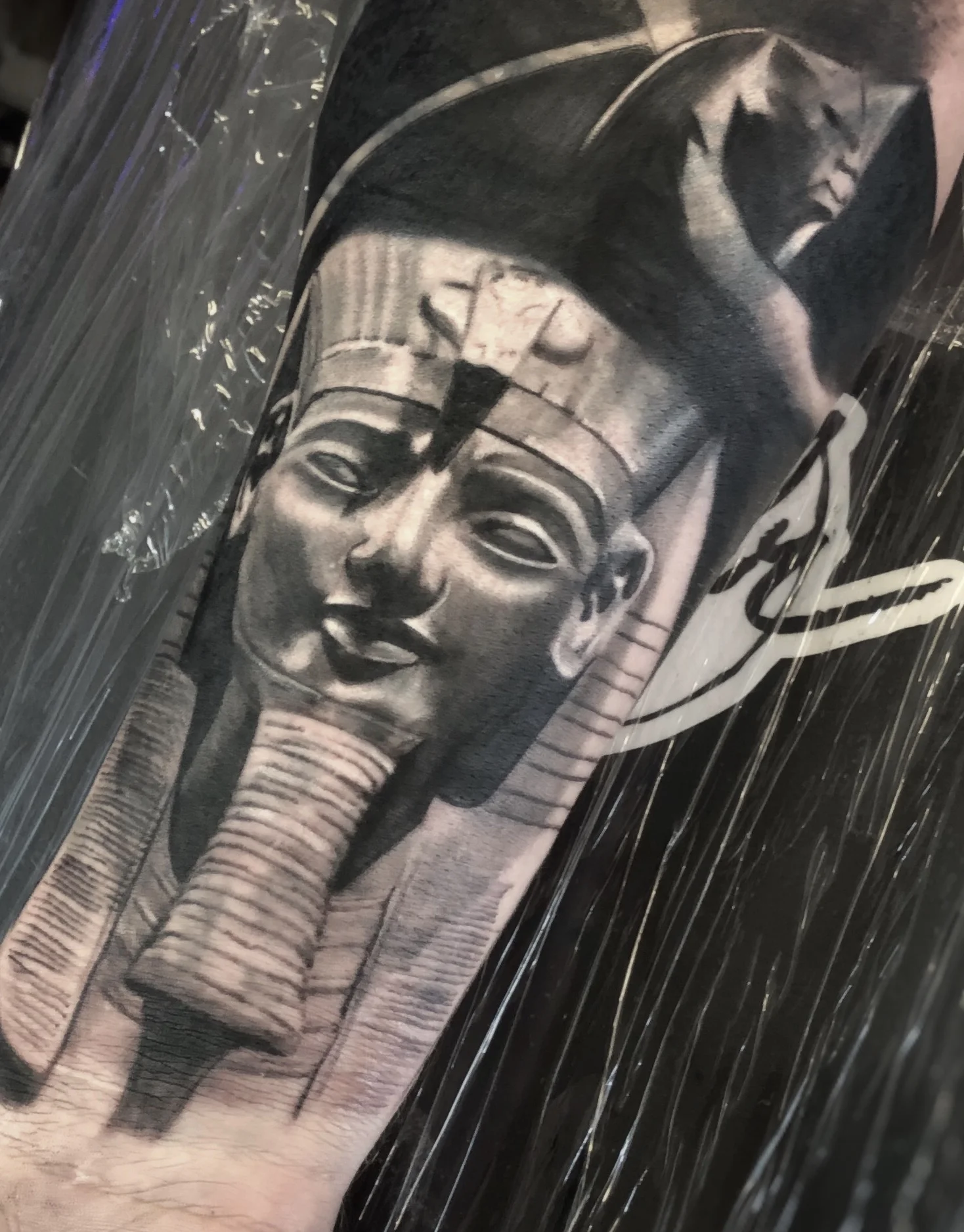 PORTFOLIO — Lucas Miller