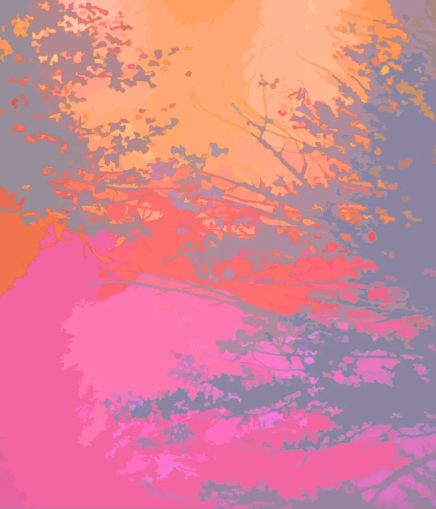 Collected Limited Edition Prints on German Rag Paper — Janell James