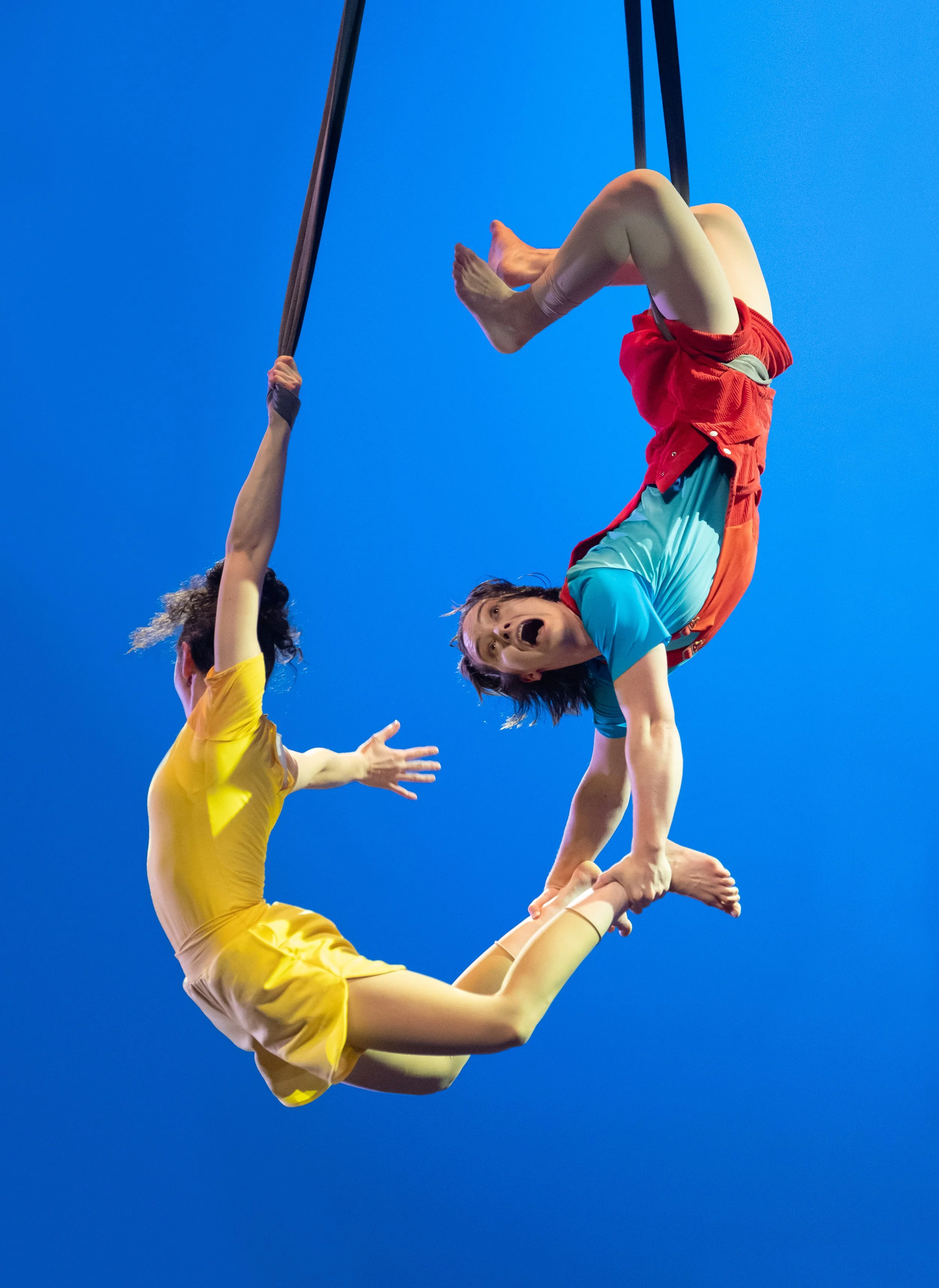 Circus Theatre Shows — The Dust Palace