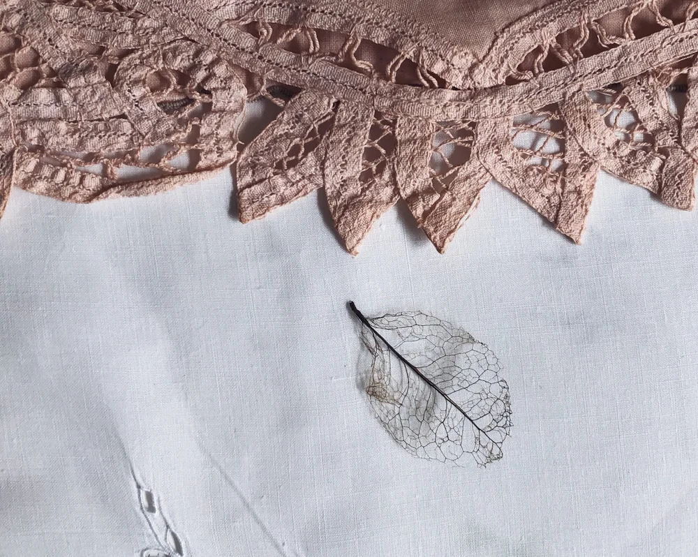 Botanical project: leaf skeletons (non toxic) — Naomi Loves