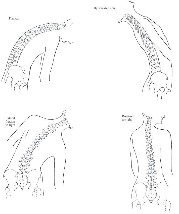 3 Exercises For Advanced Core Stability — ONI | Wellington Personal ...