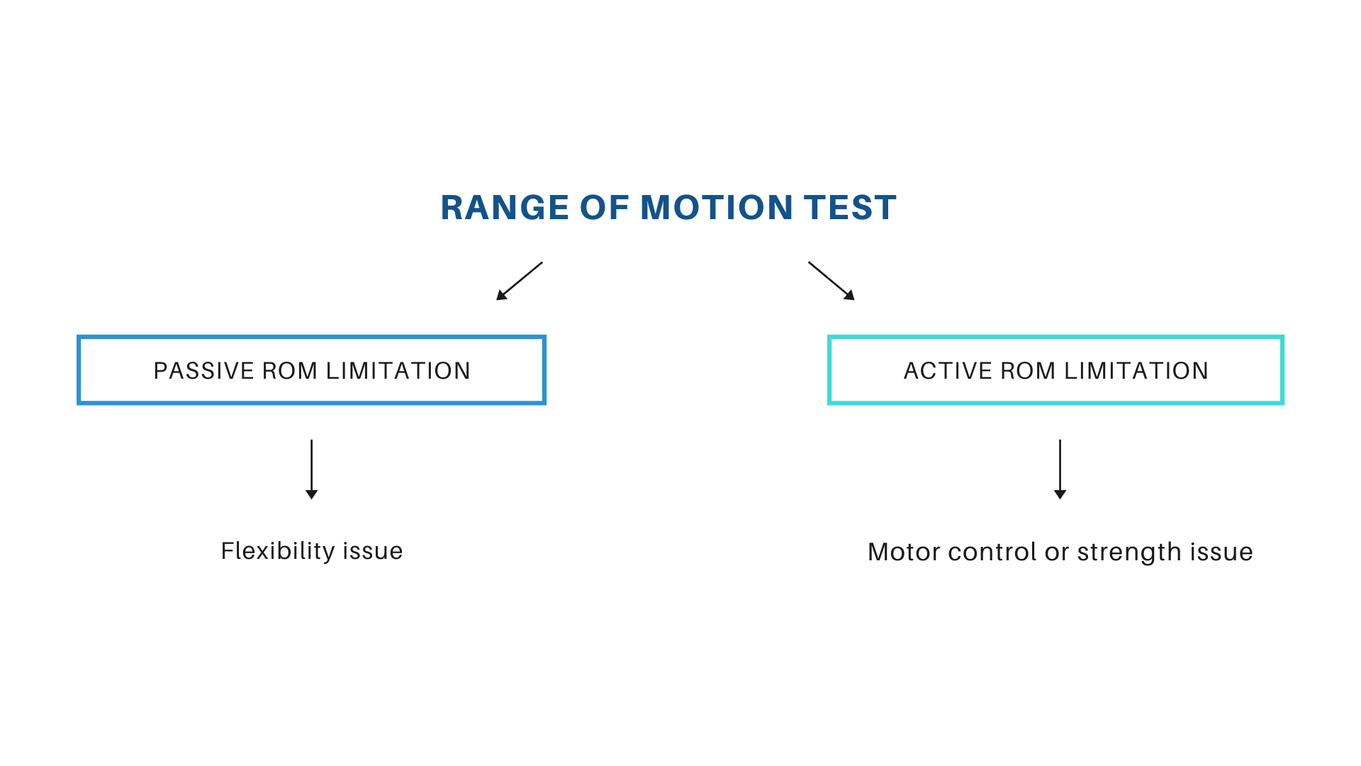 3: Narrow Assessments — ONI | Wellington Personal Training Studio