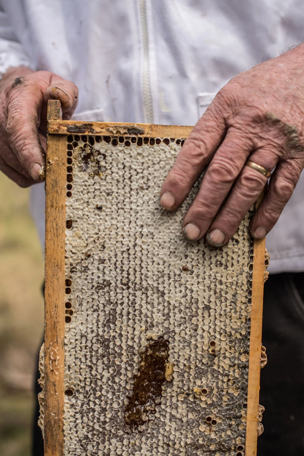 Lost Magazine - Honey Man