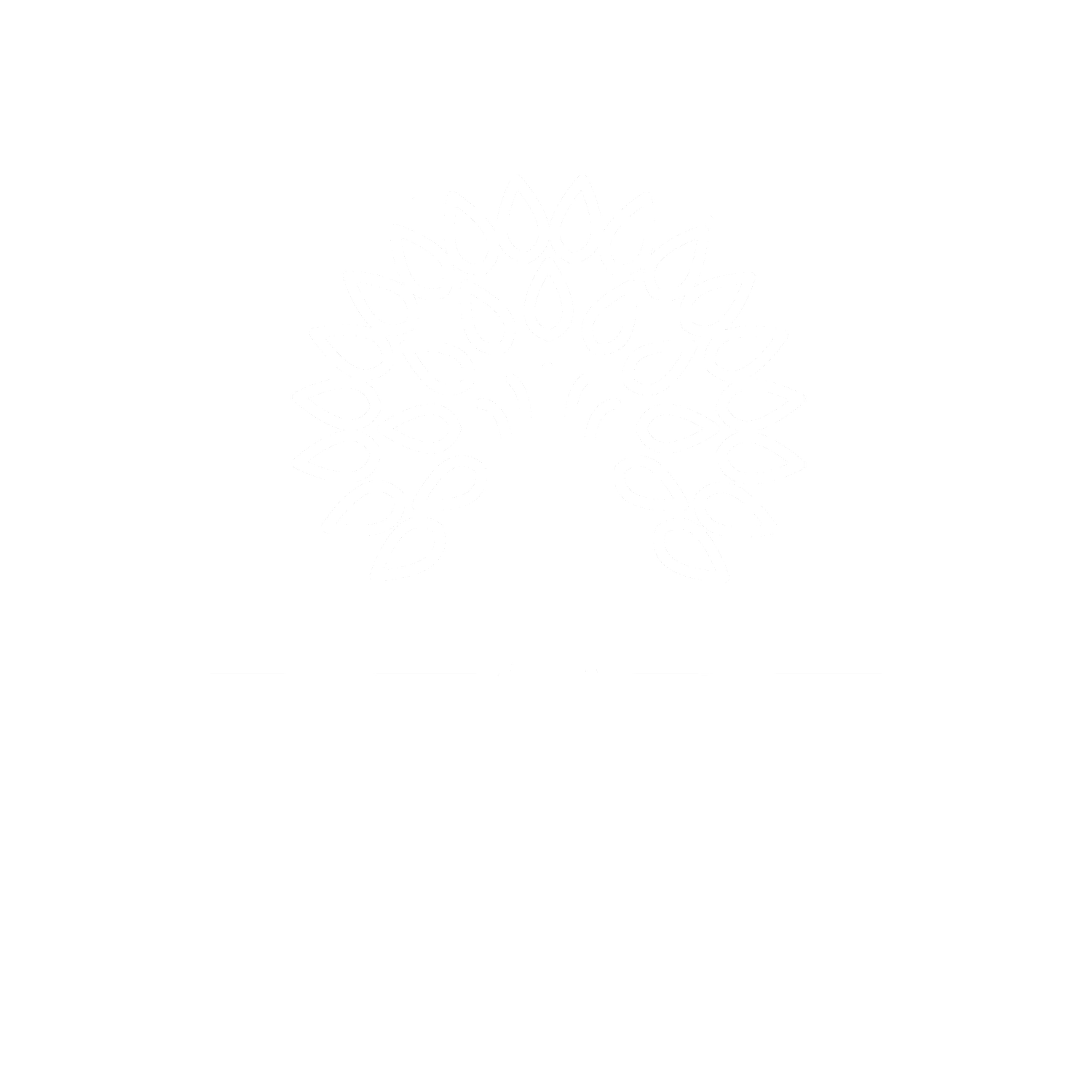 Contact Tall Trees Glamping contact-tall-trees-glamping