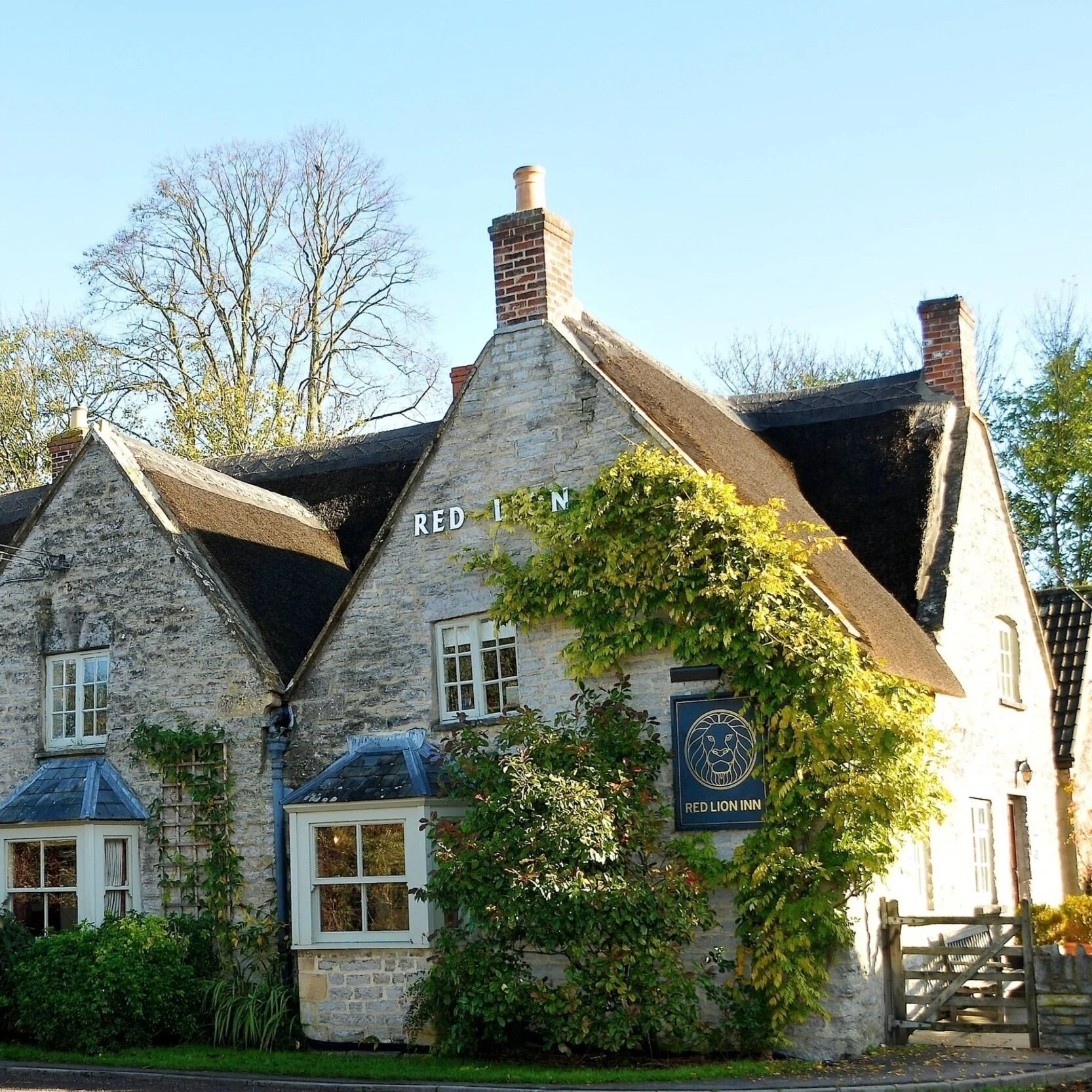 Food & Drink — Tall Trees Glamping