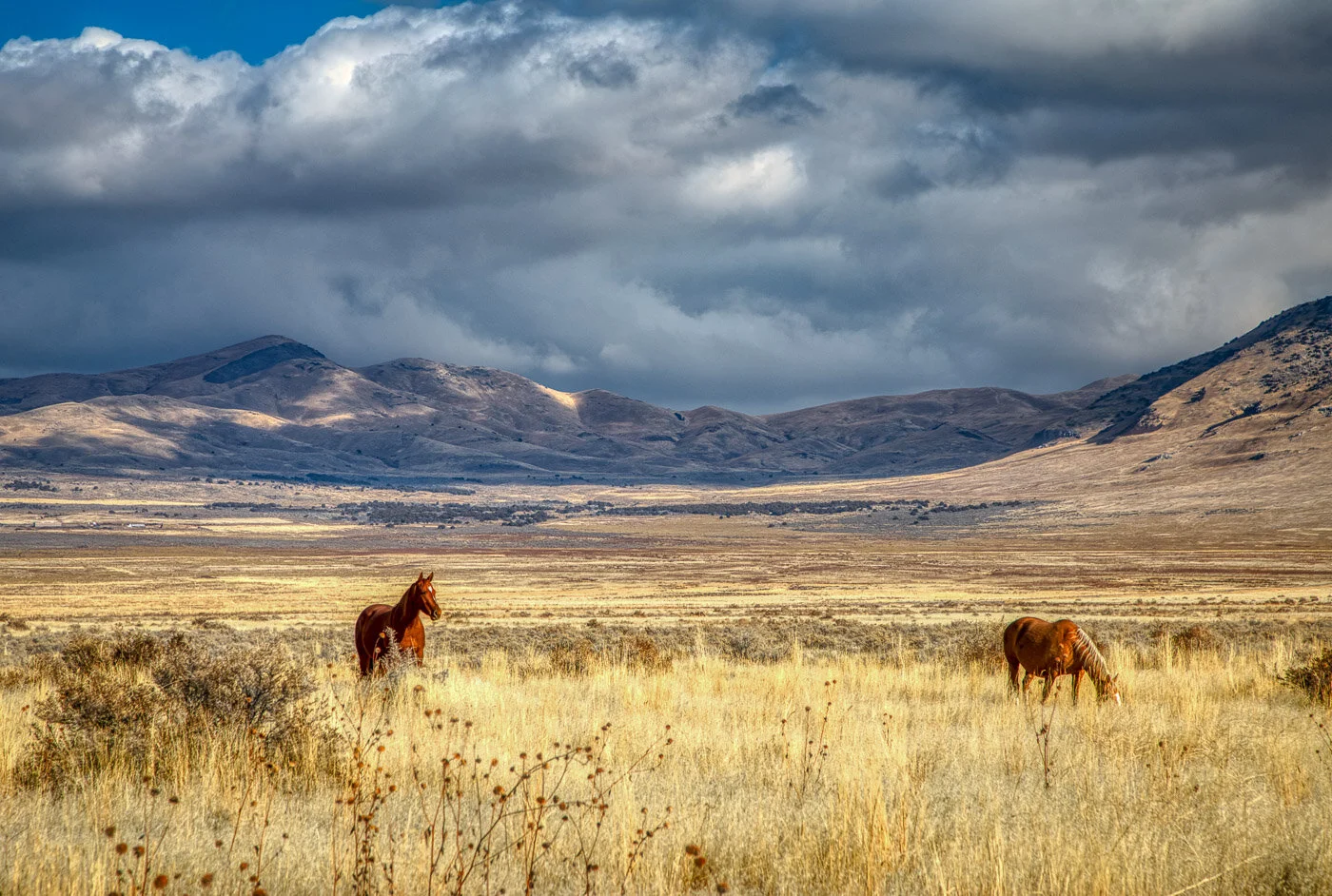 Open Range — Paul Klenck Photography