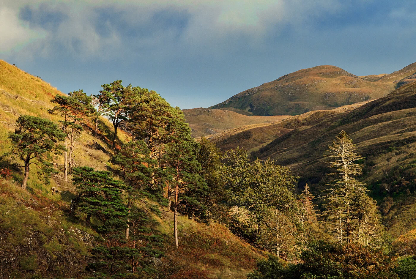 Friday Foto blog — Paul Klenck Photography