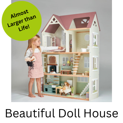 Tugooh Toys | Georgetown Toy Store | DC's Only Pokémon Store