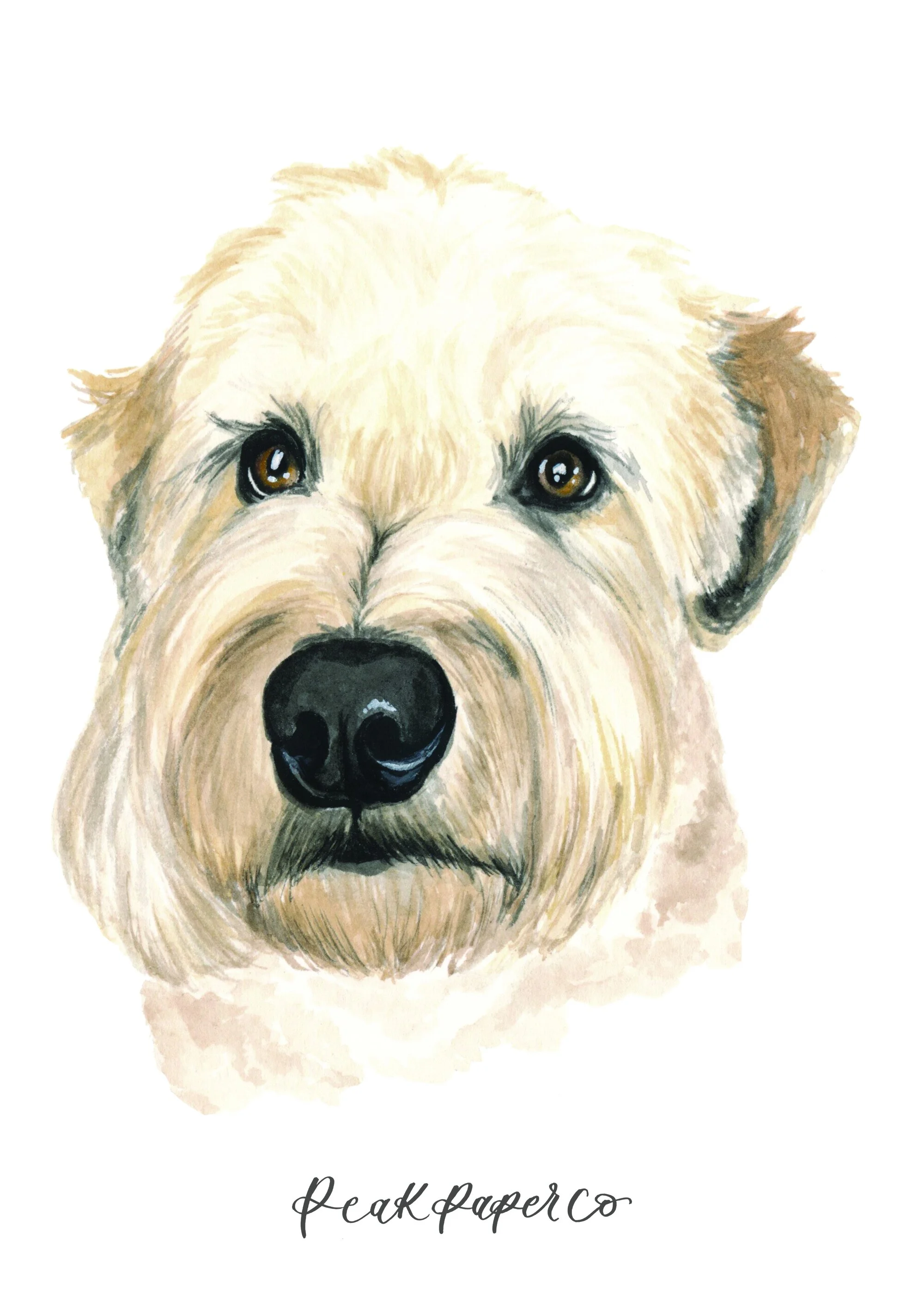 Sign up for a custom pet portrait — Peak Paper Co.