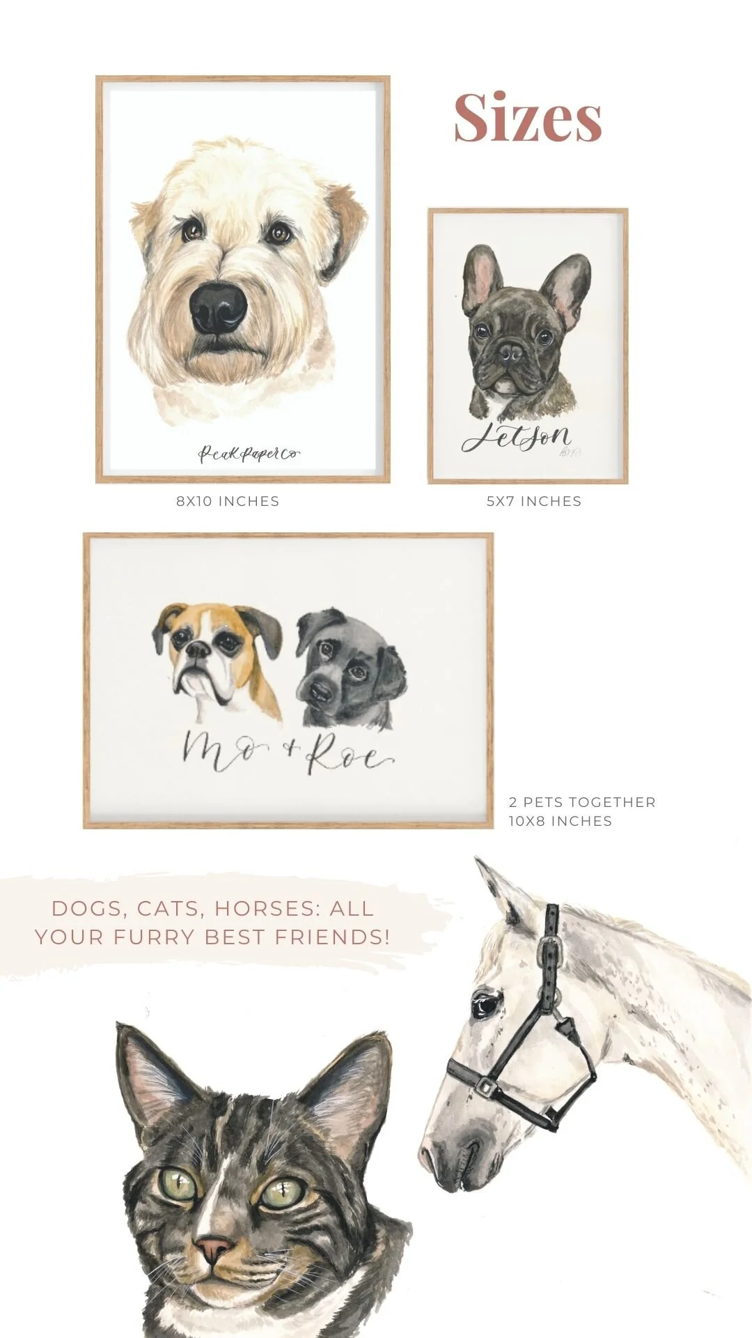 Pet Supplies Pet Portraits Pet Profile Picture Custom Digital Pet ...