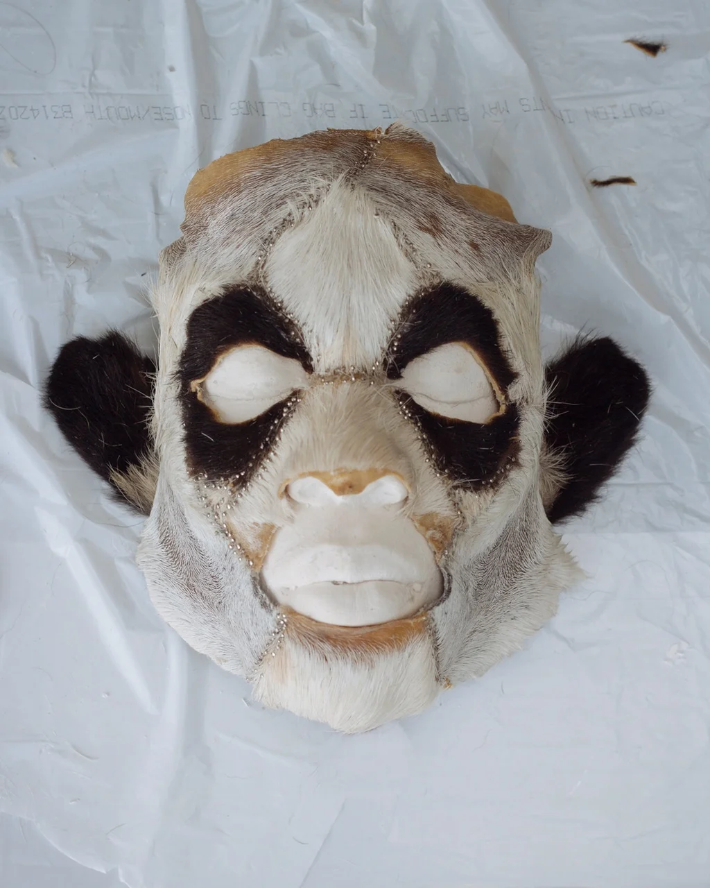 Kate Clark | Cultural Collaborations — Kate Clark