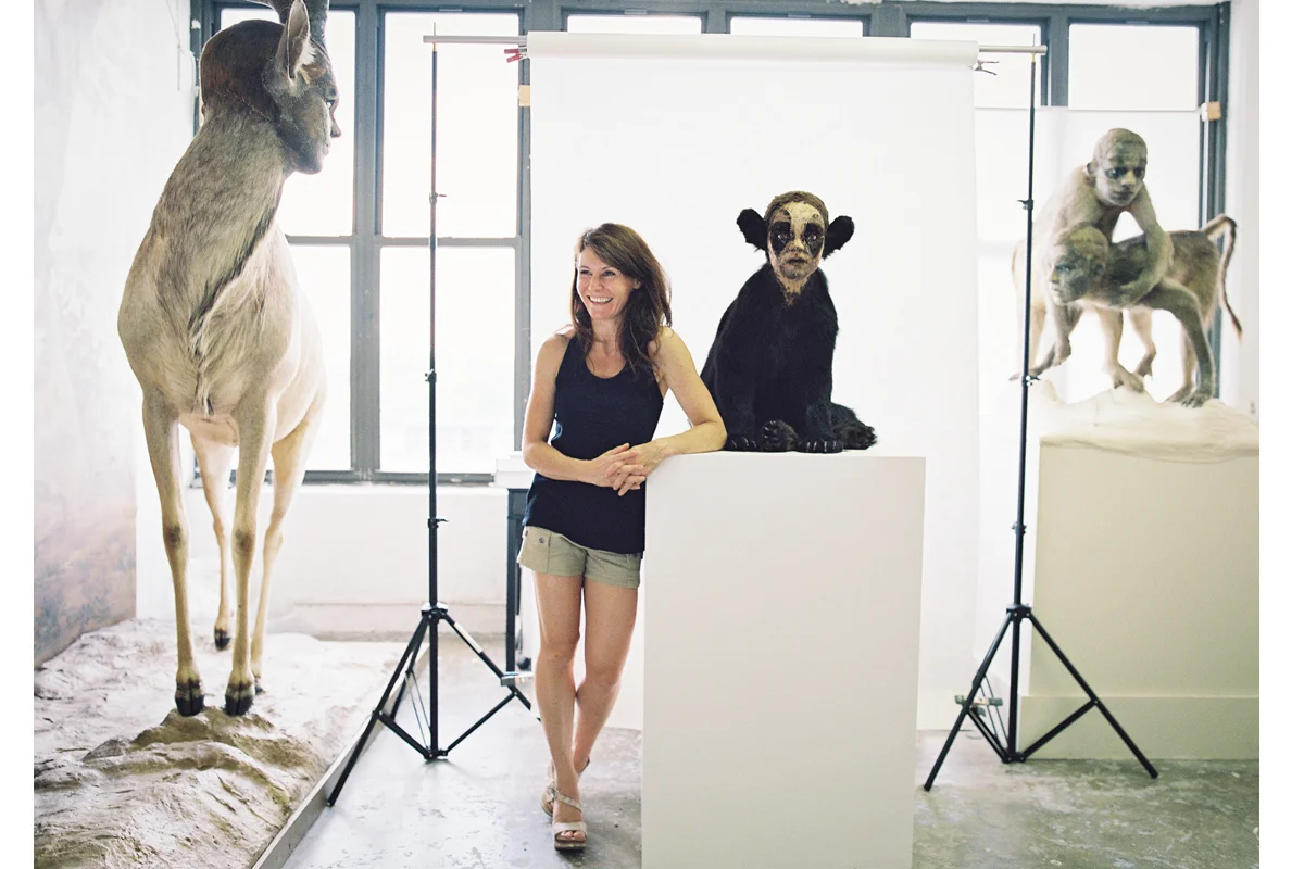 Kate Clark | CV — Kate Clark