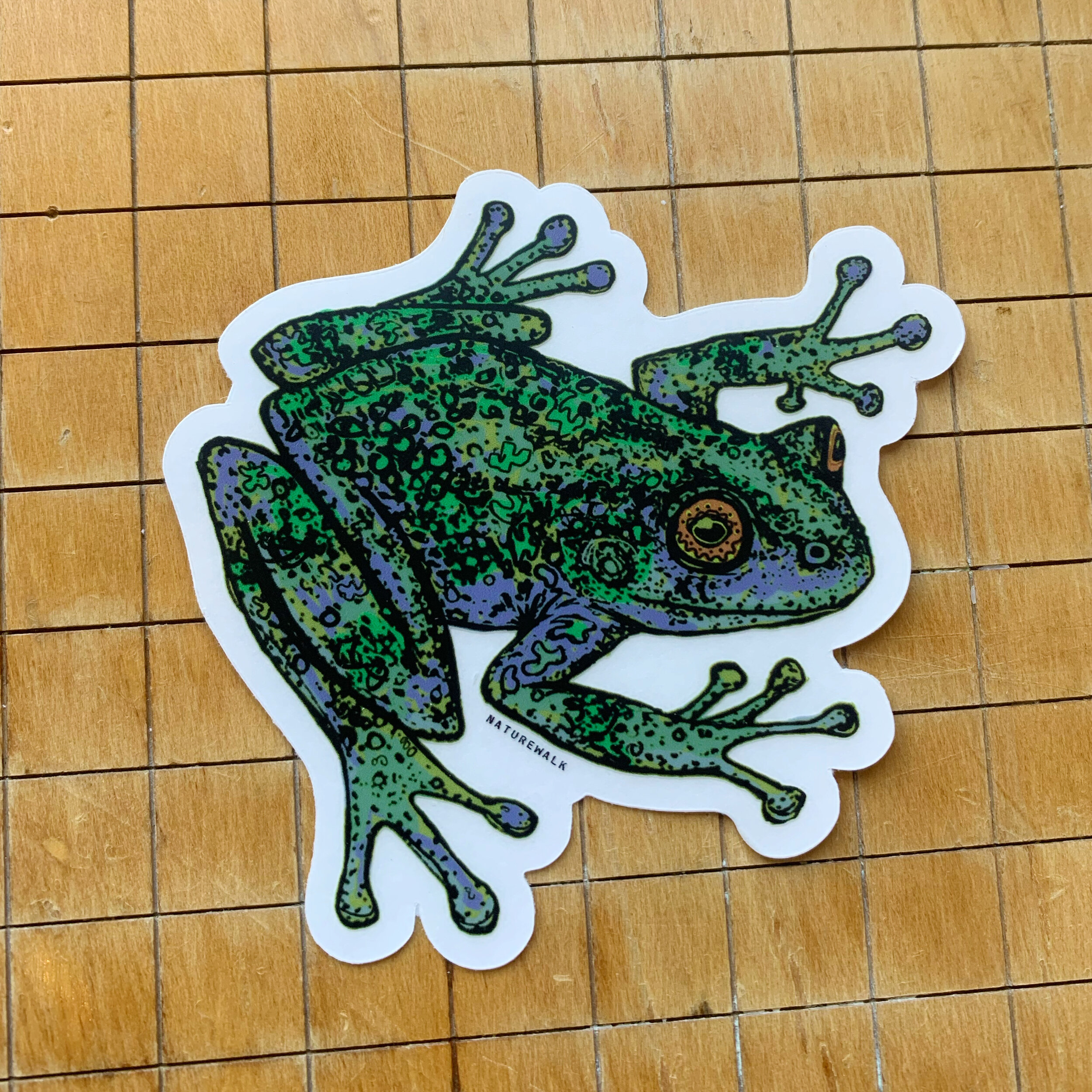 Tree Frog Decal — NATURE WALK